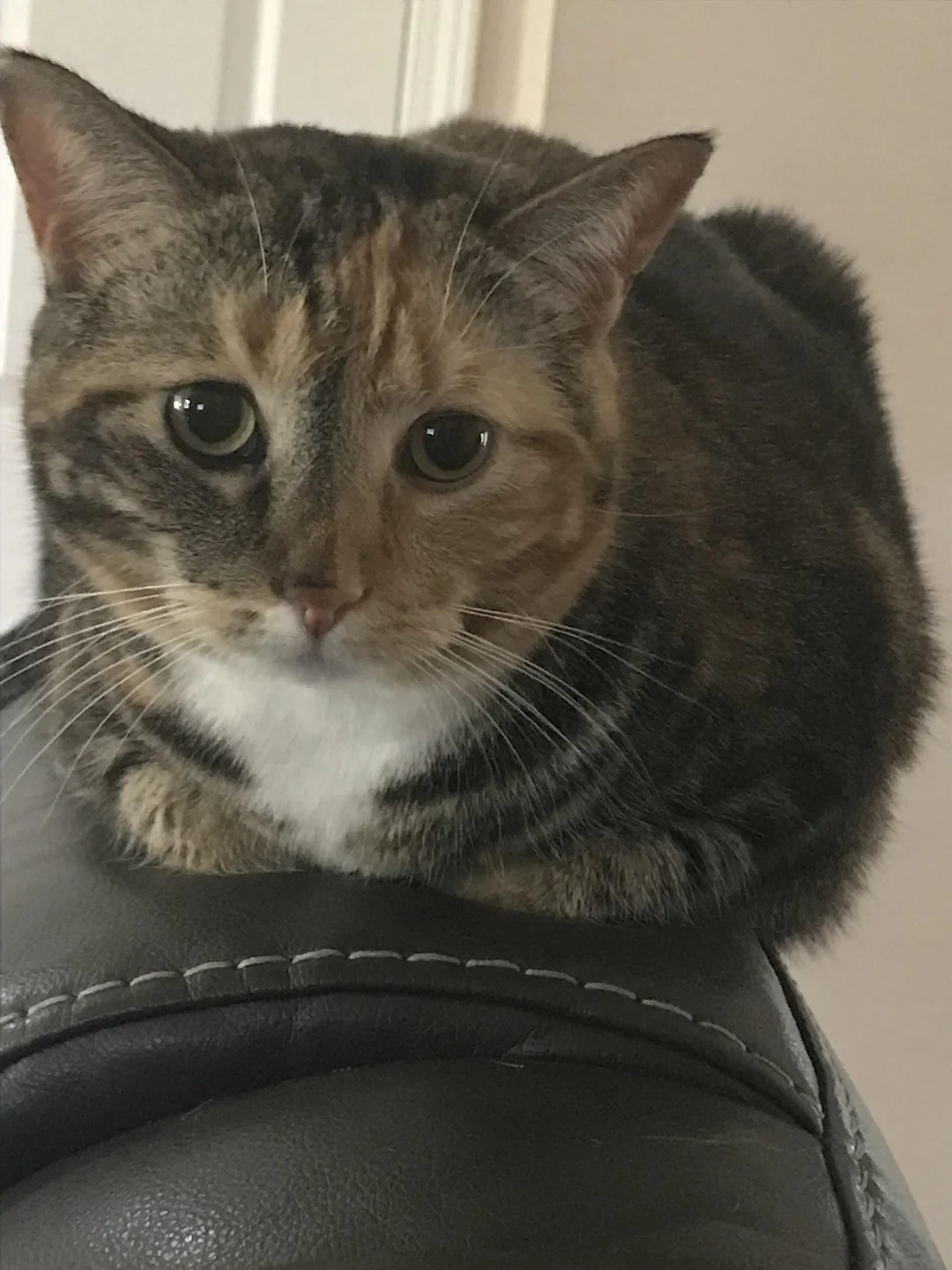 loaf | Scrolller