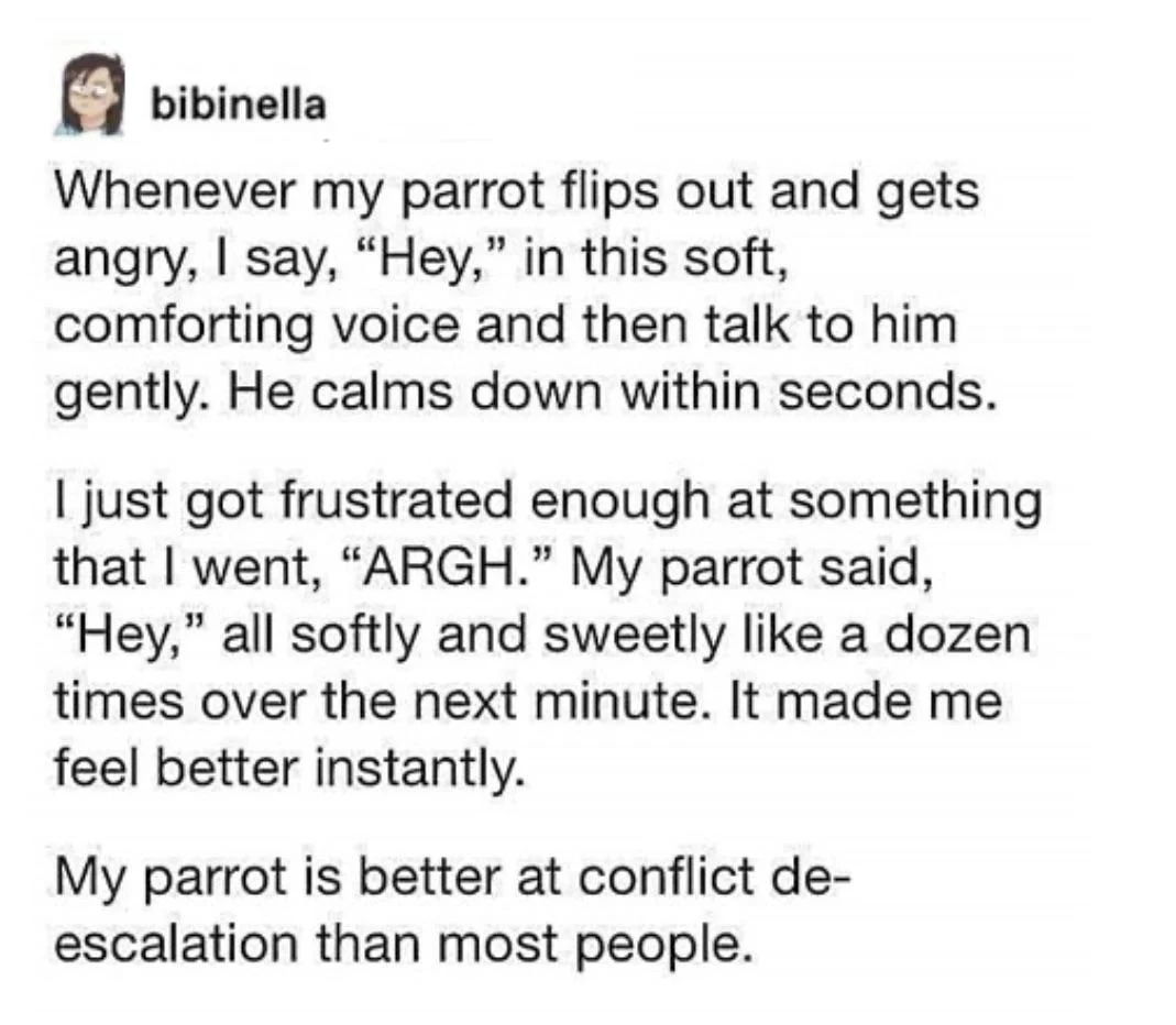 Animals generally are | Scrolller