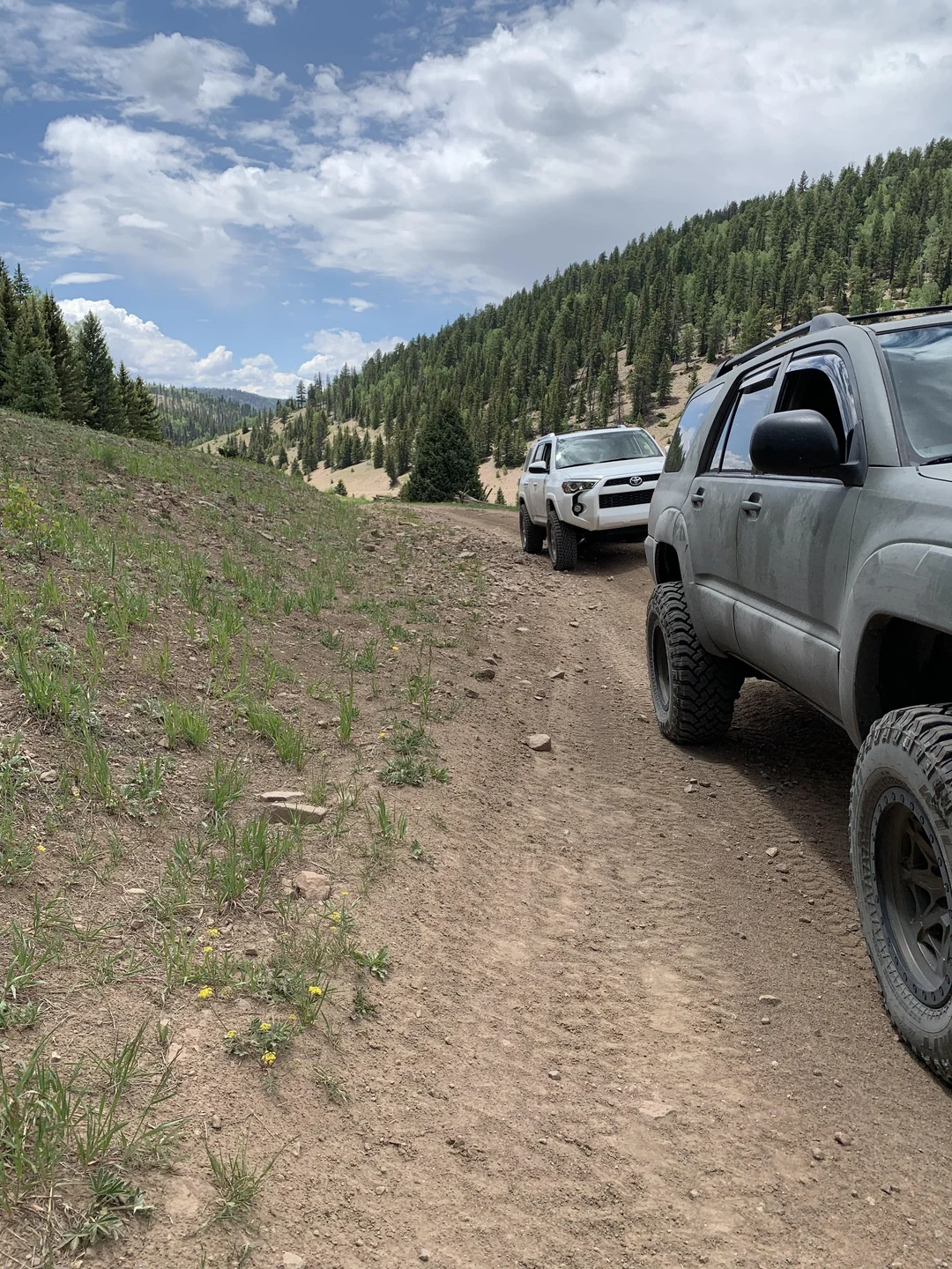 Trail Run | Scrolller