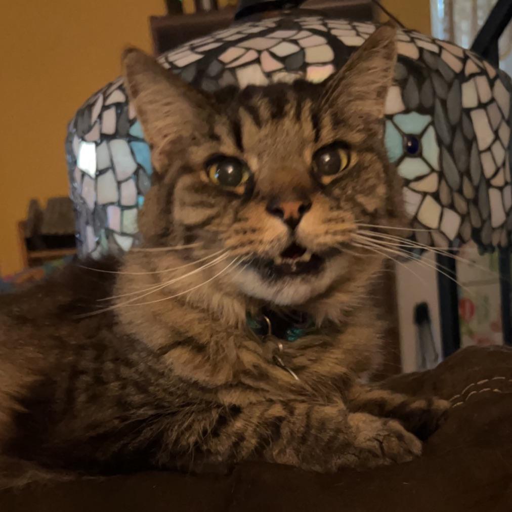 Handsome boy sneezes as picture is taken makes for kinda smiley handsome boy | Scrolller