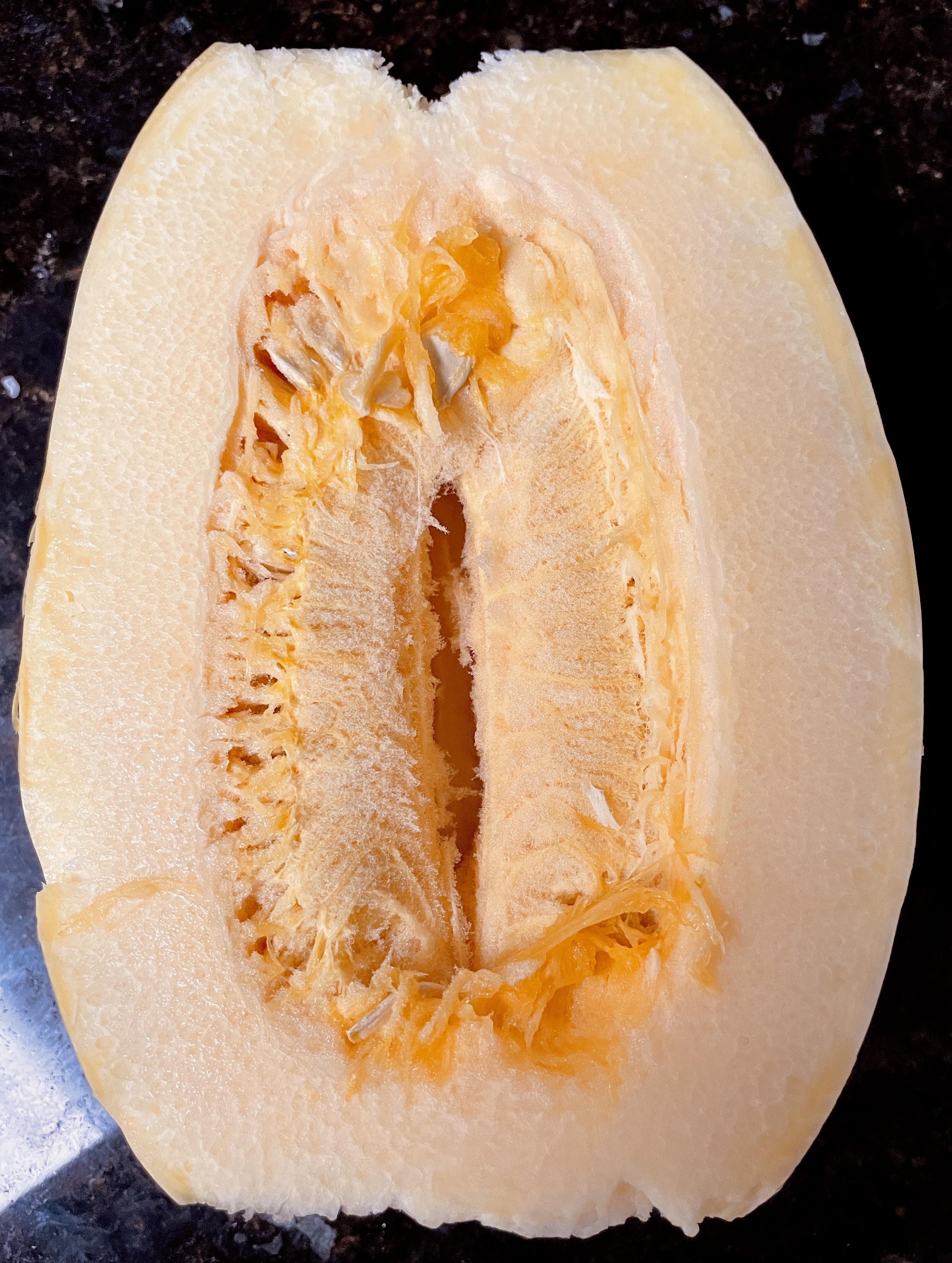 Spaghetti Squssy | Scrolller