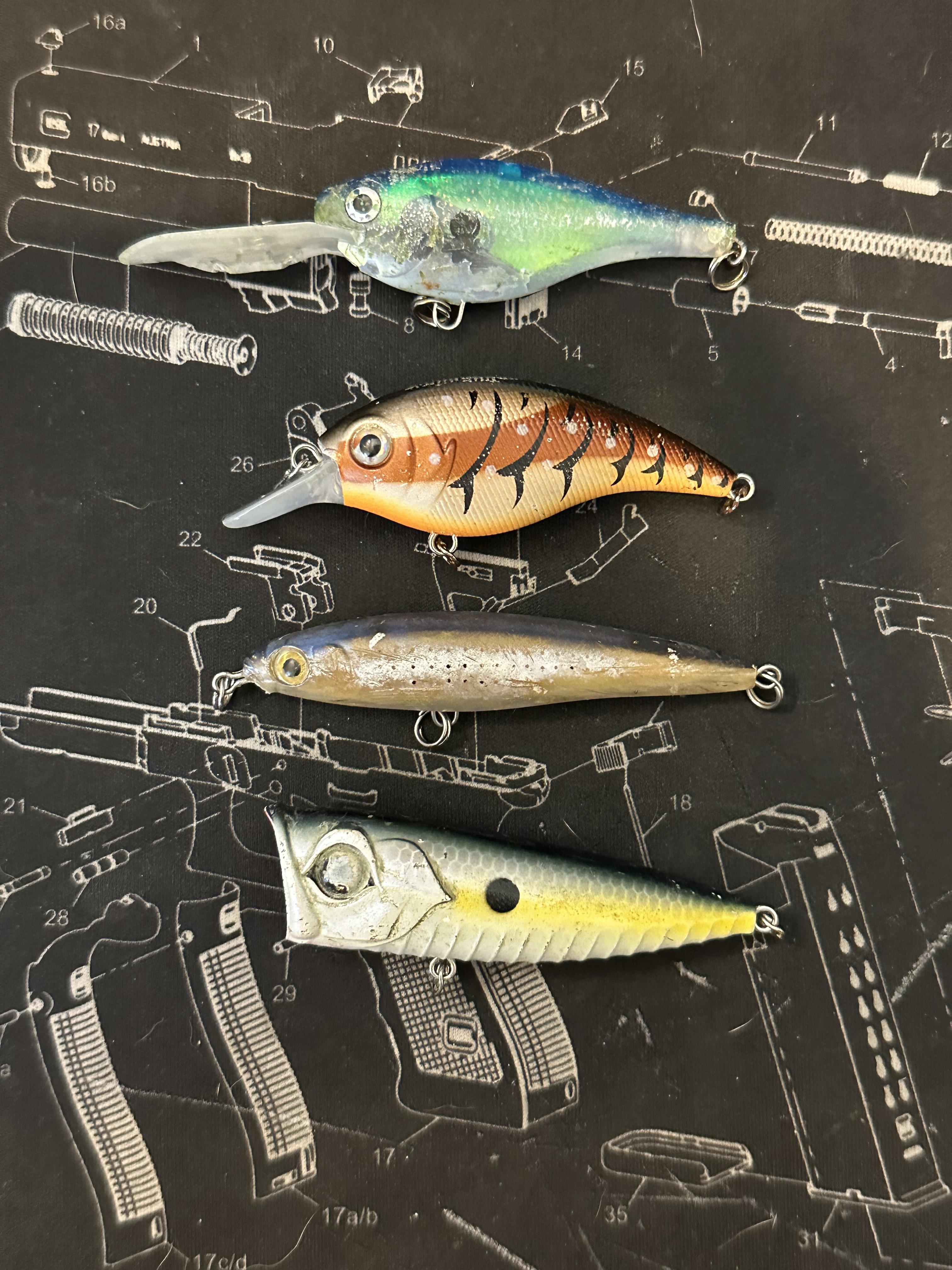 Anyone else constantly scan the grounds they walk? Recent finds. | Scrolller