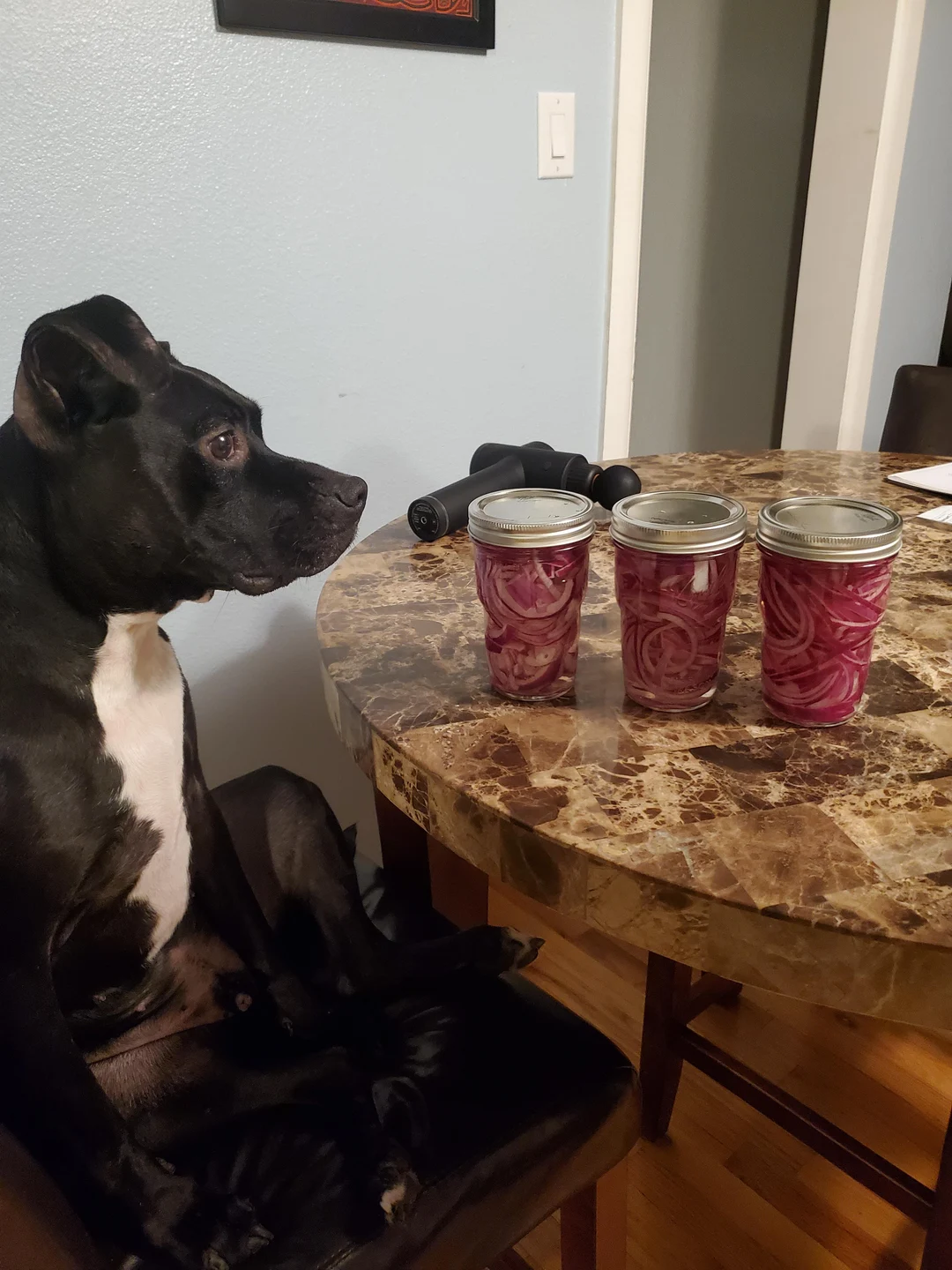 Wanted a pic of my first attempt at pickled onions. Donnie wanted to pose next to them ...