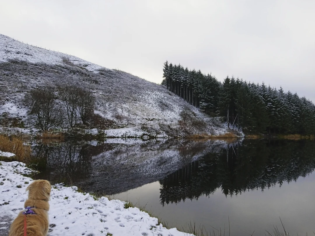 Winter lake views | Scrolller