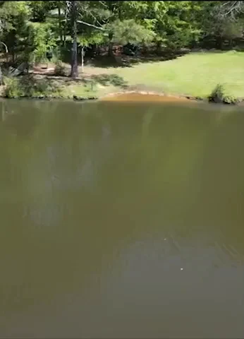 Pond spawning female! | Scrolller