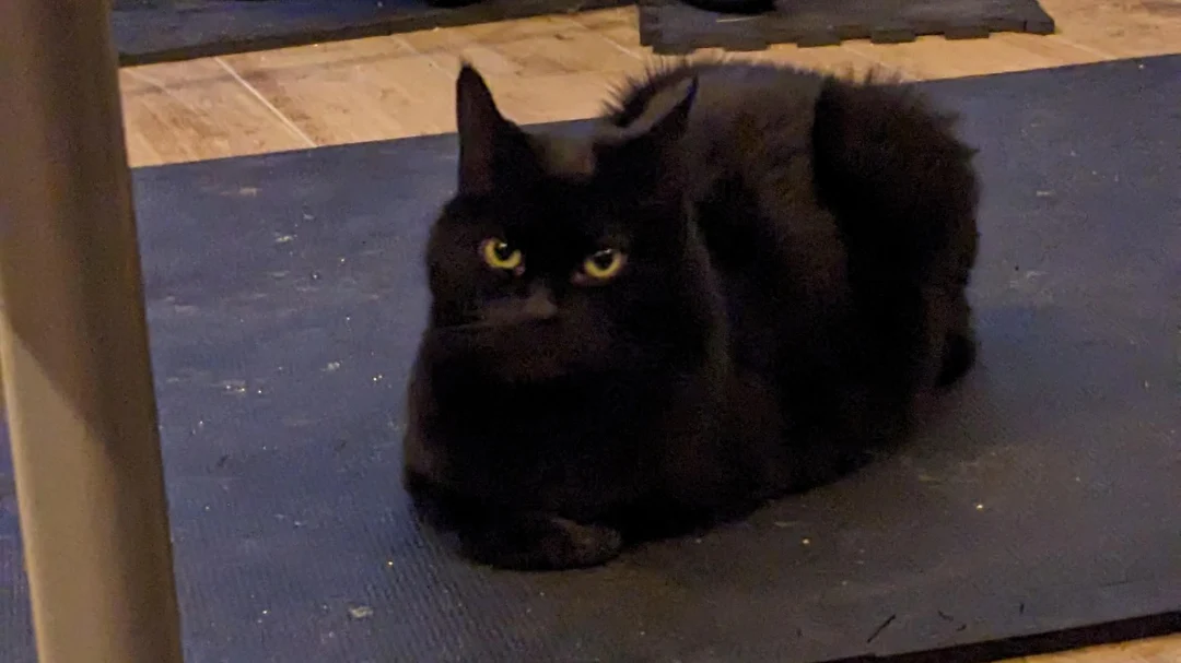 Void loaf | Scrolller