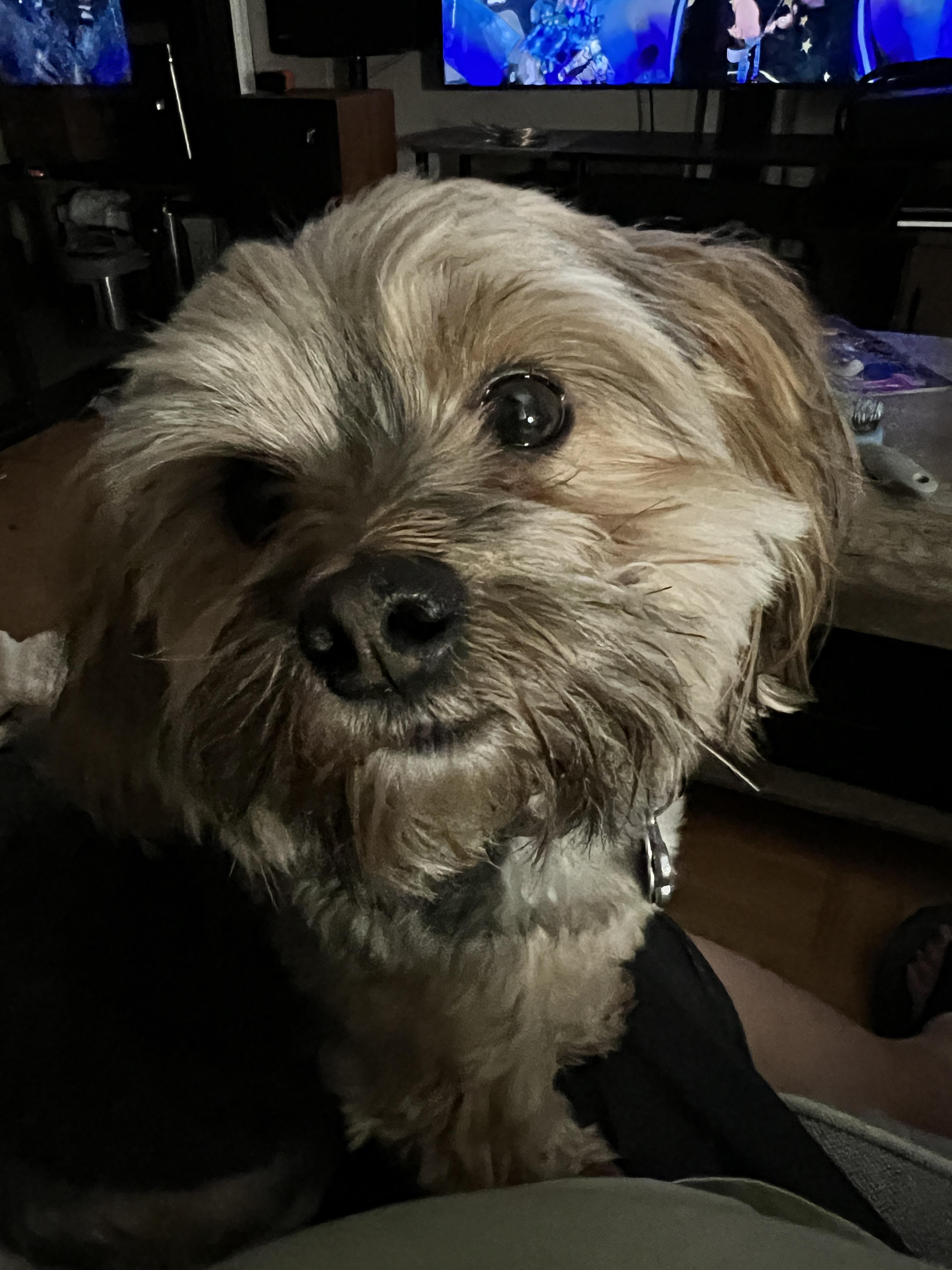 My sweet Suzie Bear. | Scrolller