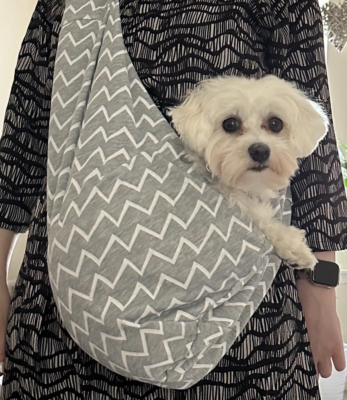 Rosie in her sling 😂 | Scrolller