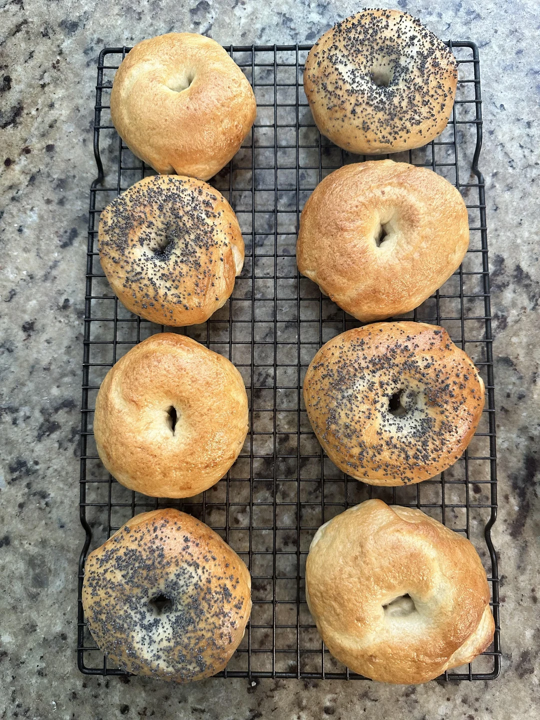 I dabbled in bagels today. | Scrolller