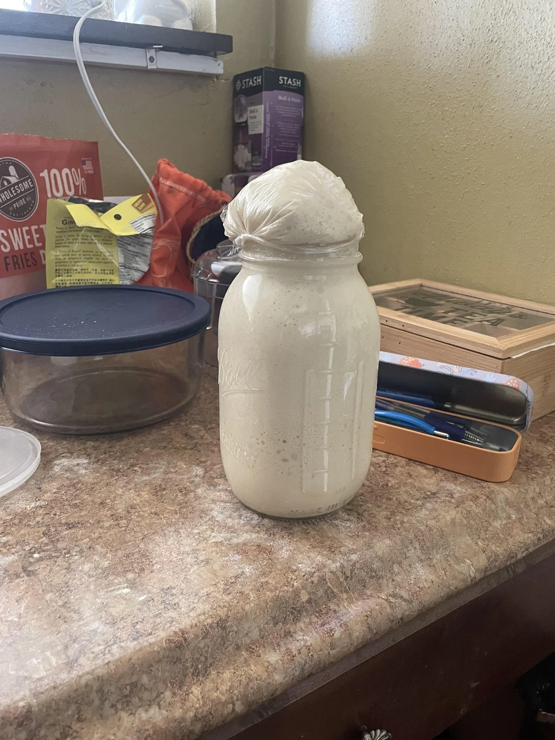 I think it’s safe to say my starter is active | Scrolller