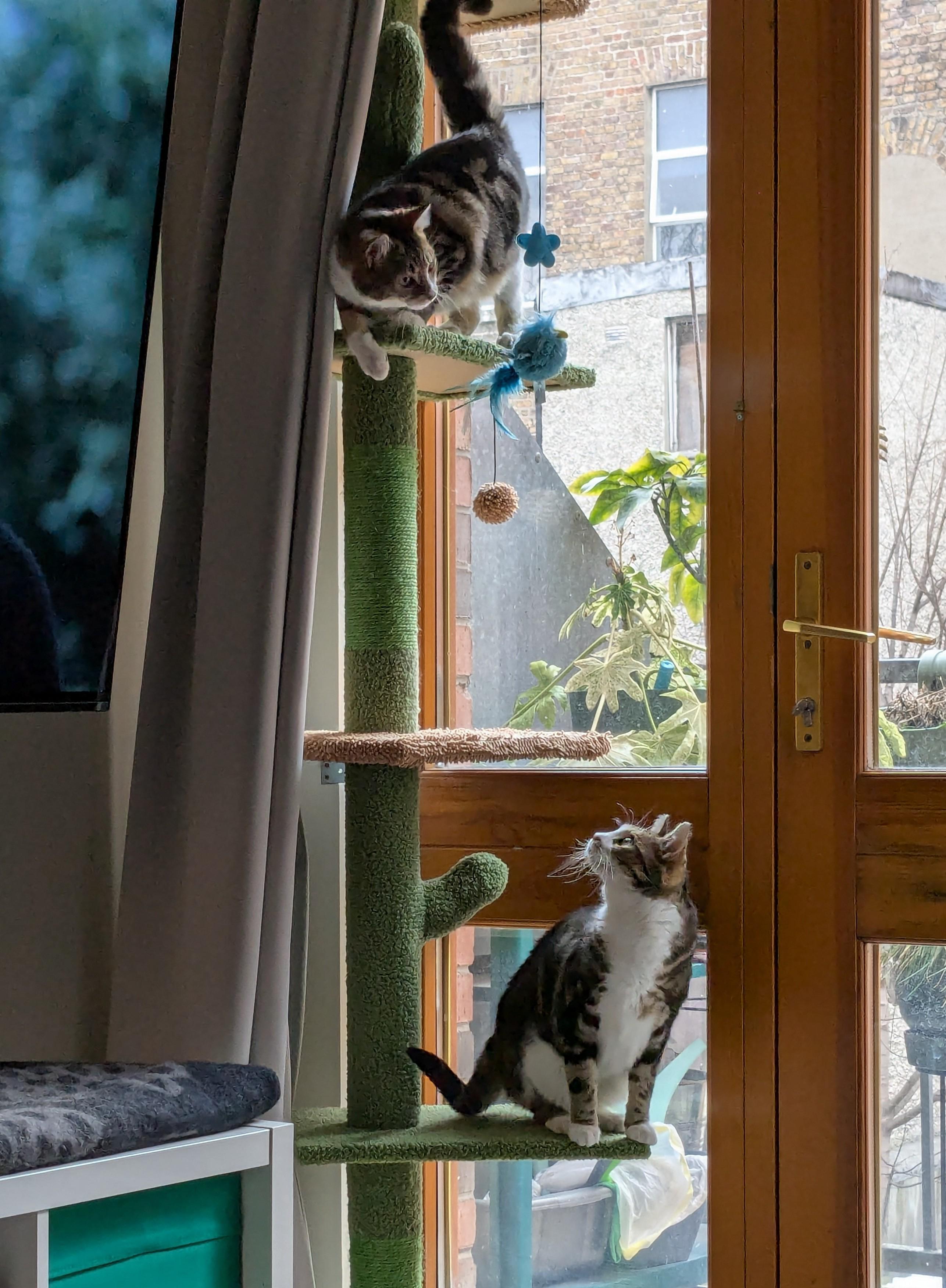 Got a sic for my sic | Scrolller