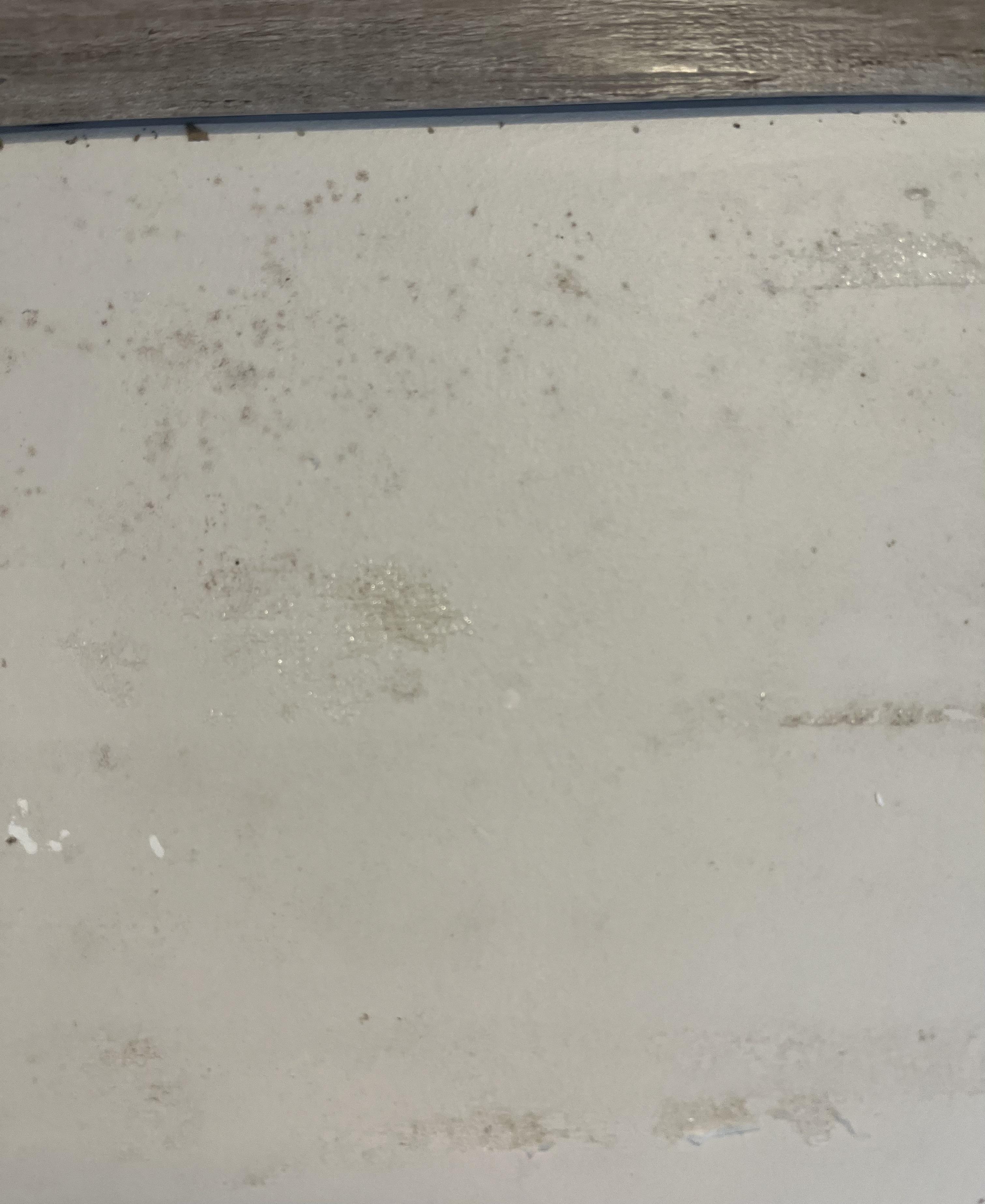 Is this mold? | Scrolller