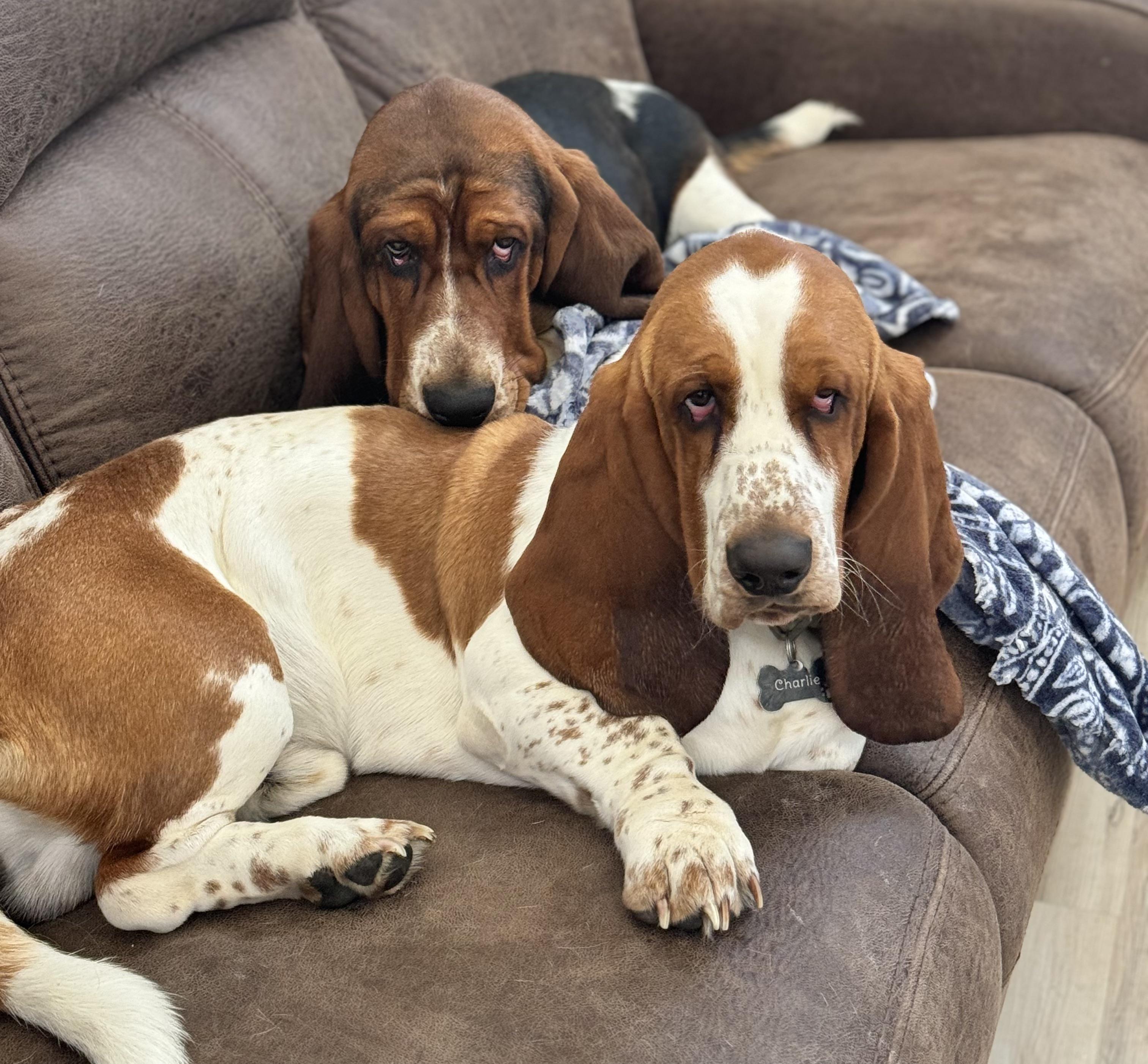 BIG BAD VACUUM | Scrolller