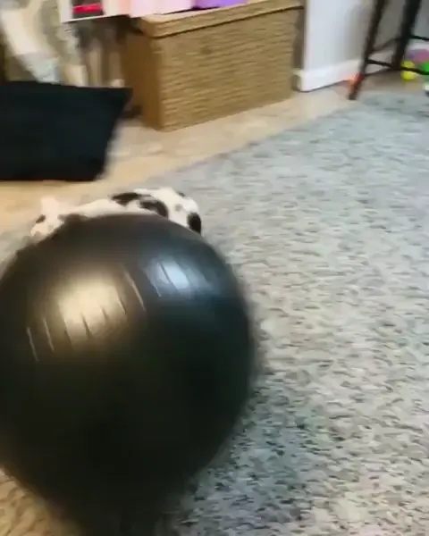 Big Bouncy Ball | Scrolller