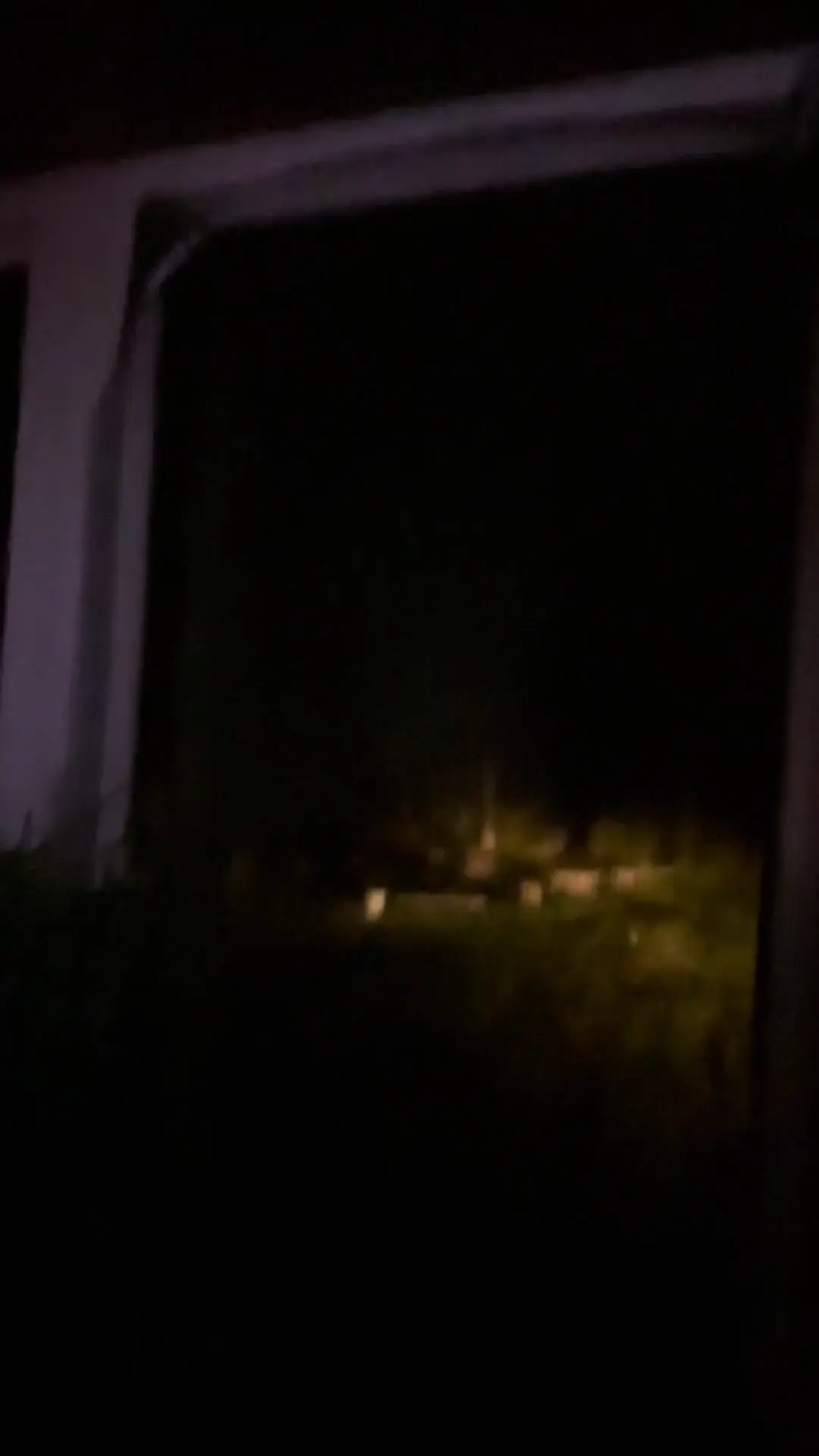 Big Brown Bear in our yard! | Scrolller