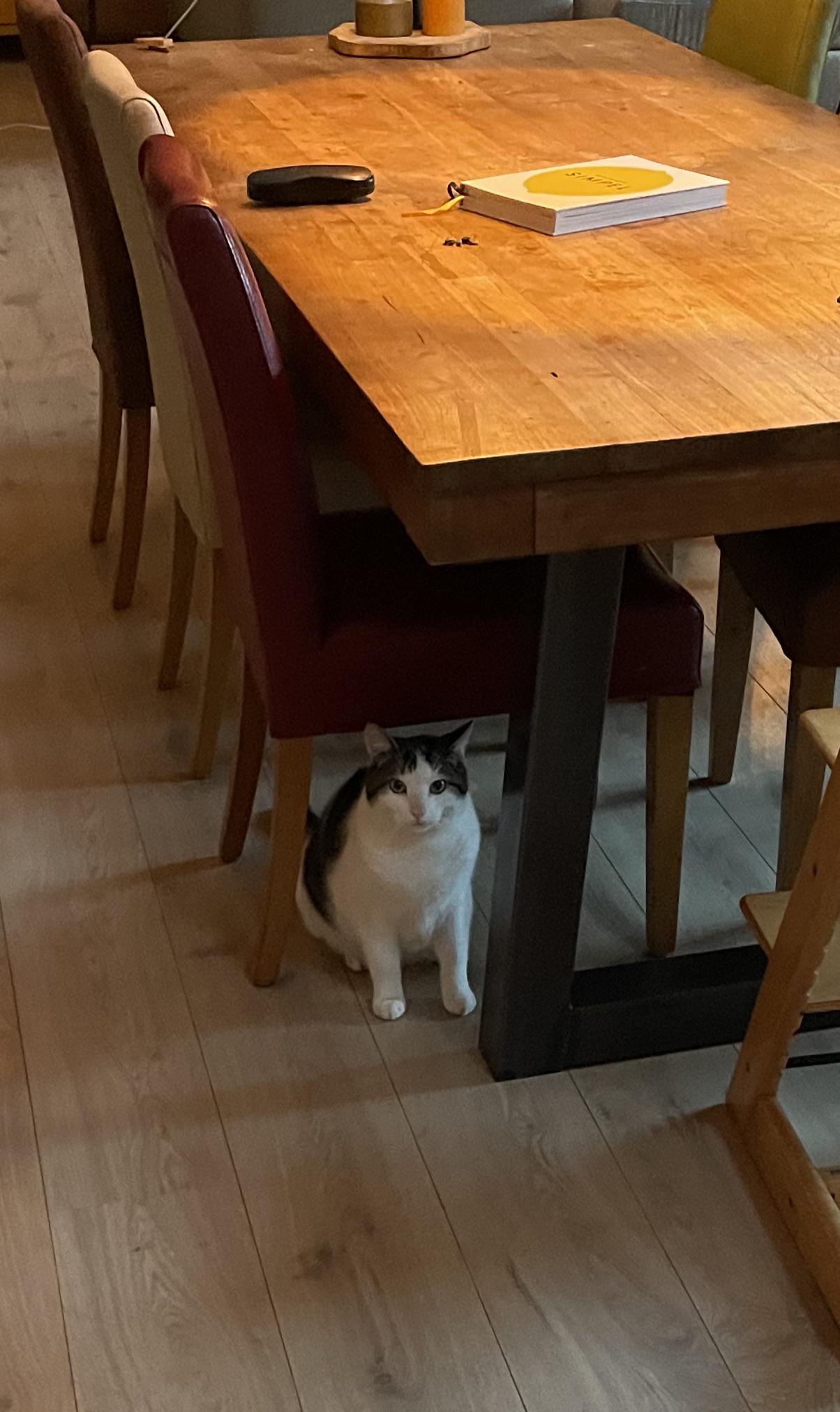 Big chunk | Scrolller