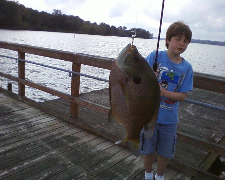 Biggest Bluegill Ever! - My Son 12 years ago | Scrolller