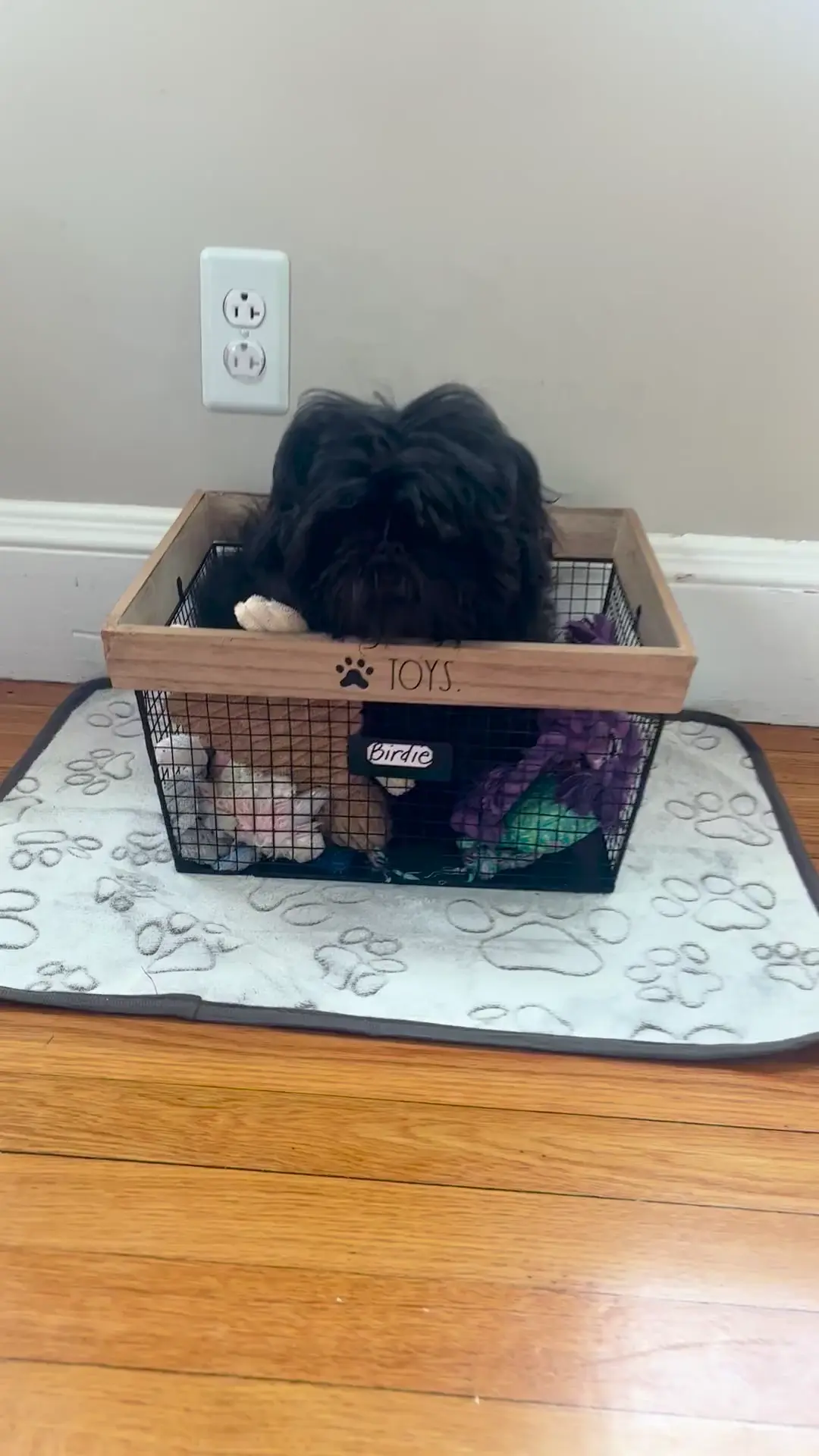Birdie Loves Her Toys Scrolller