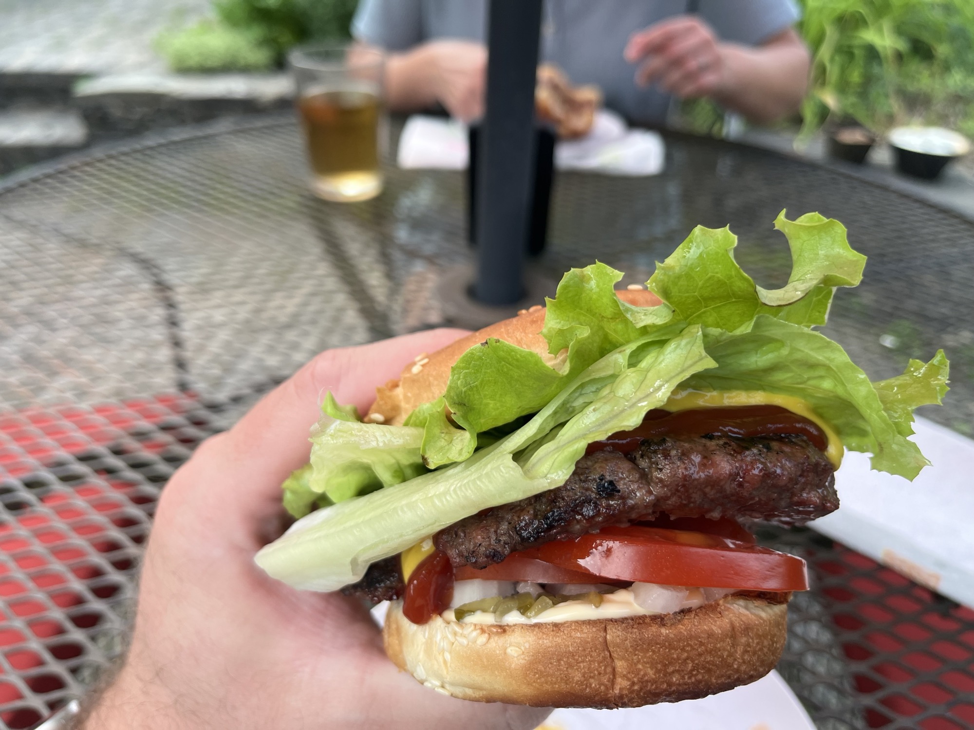 Bison on the pellet grill | Scrolller