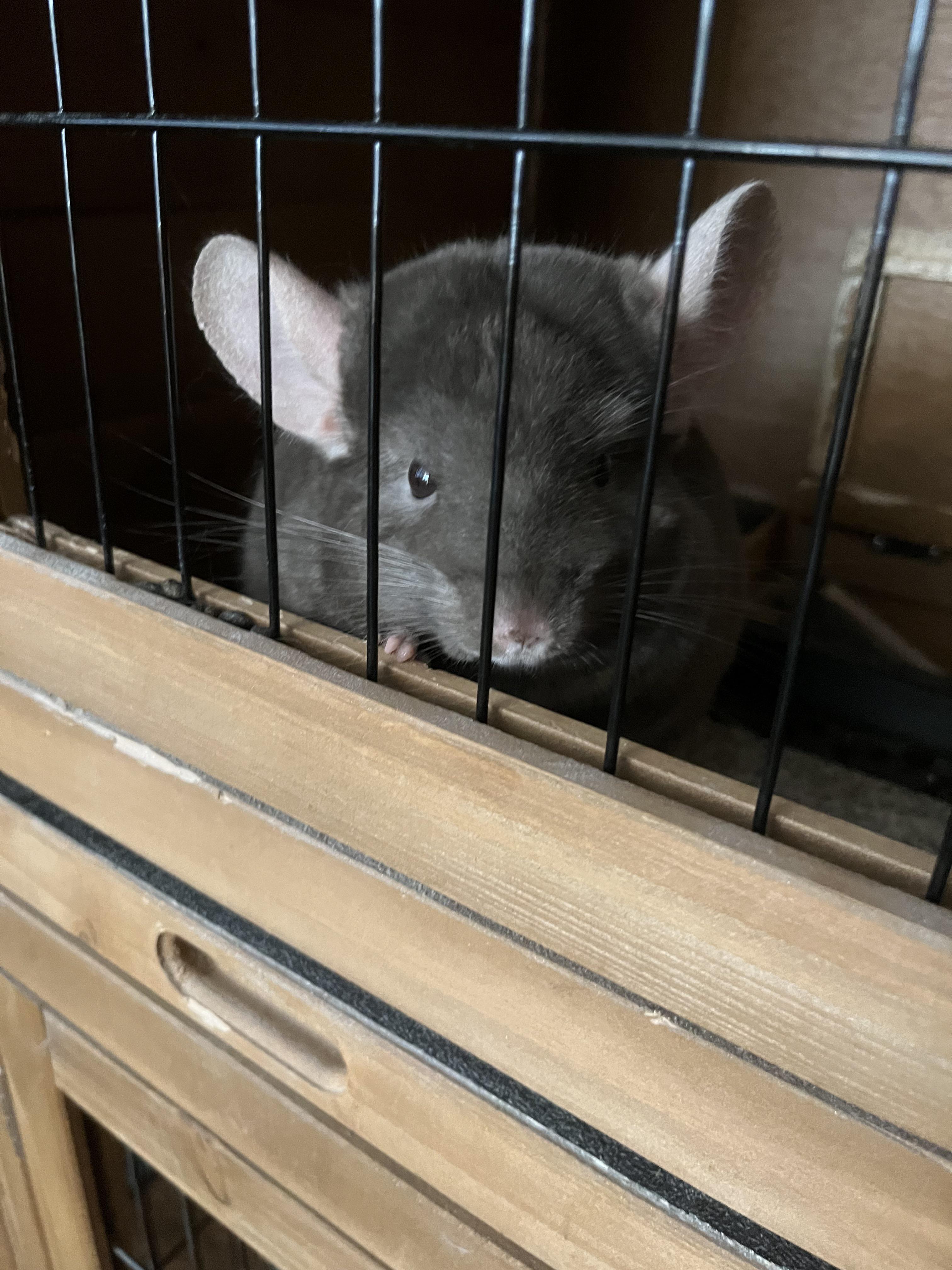 Dry ears? | Scrolller