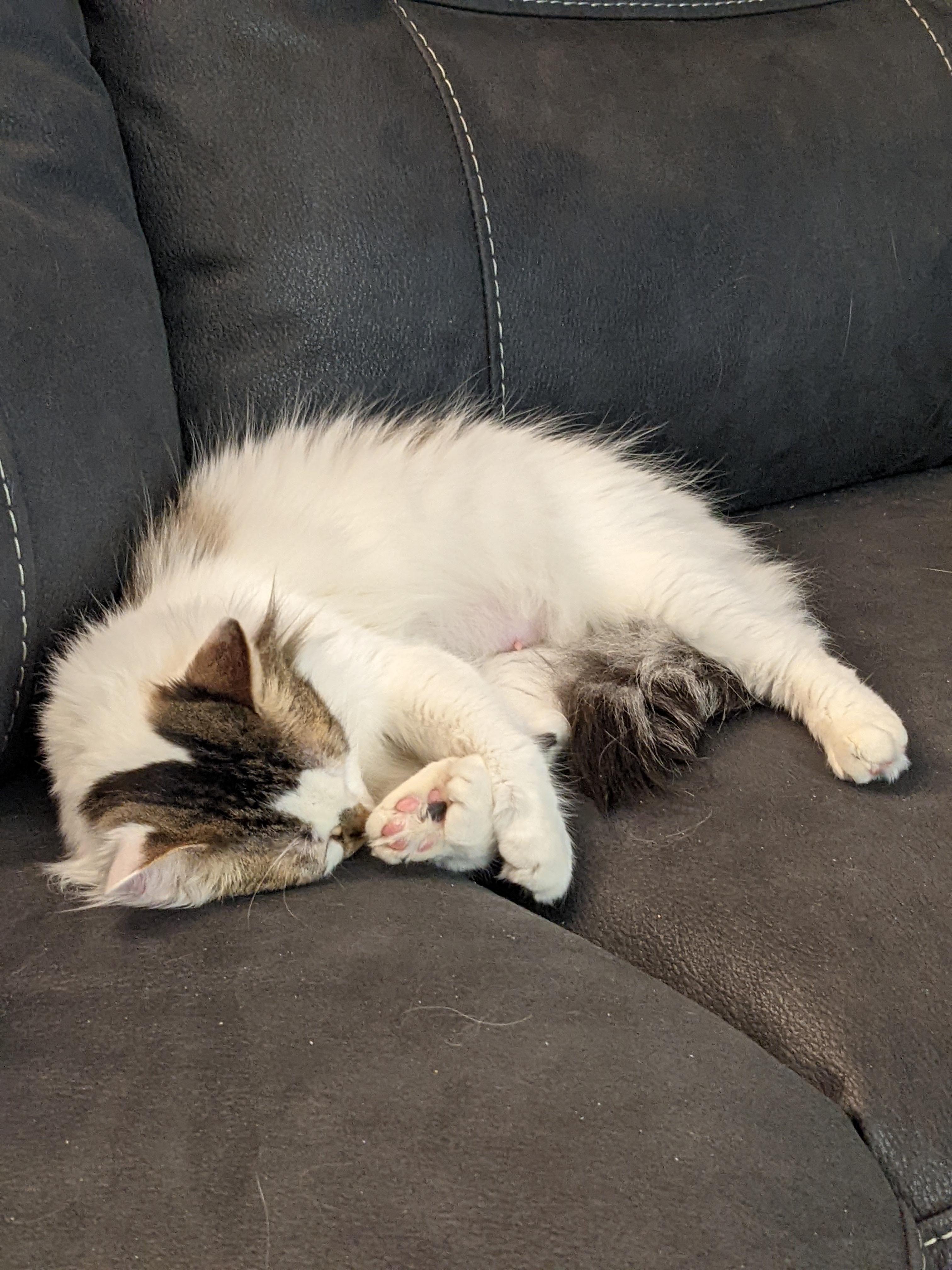 Cleo showing us her multi-colored beans | Scrolller