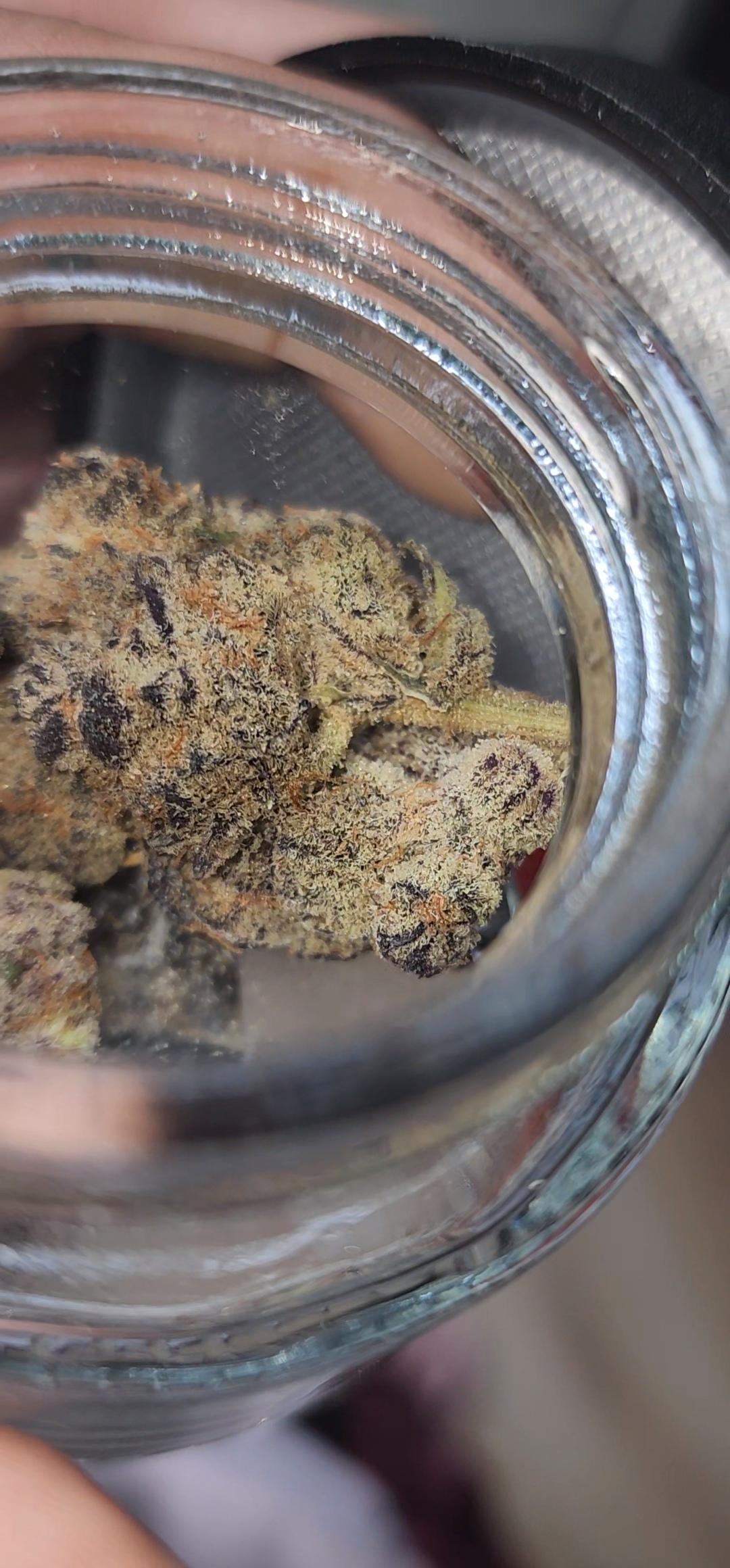 How to identify mold? | Scrolller