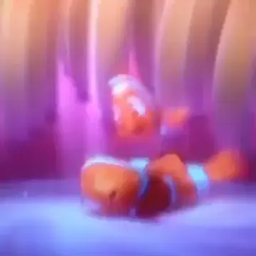 Discover more like Blursed_videos: Blursed Finding Nemo and Related Content | Scrolller