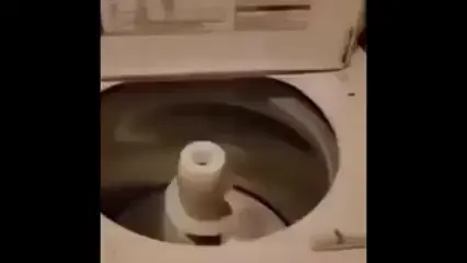 blursed_Garfield | Scrolller