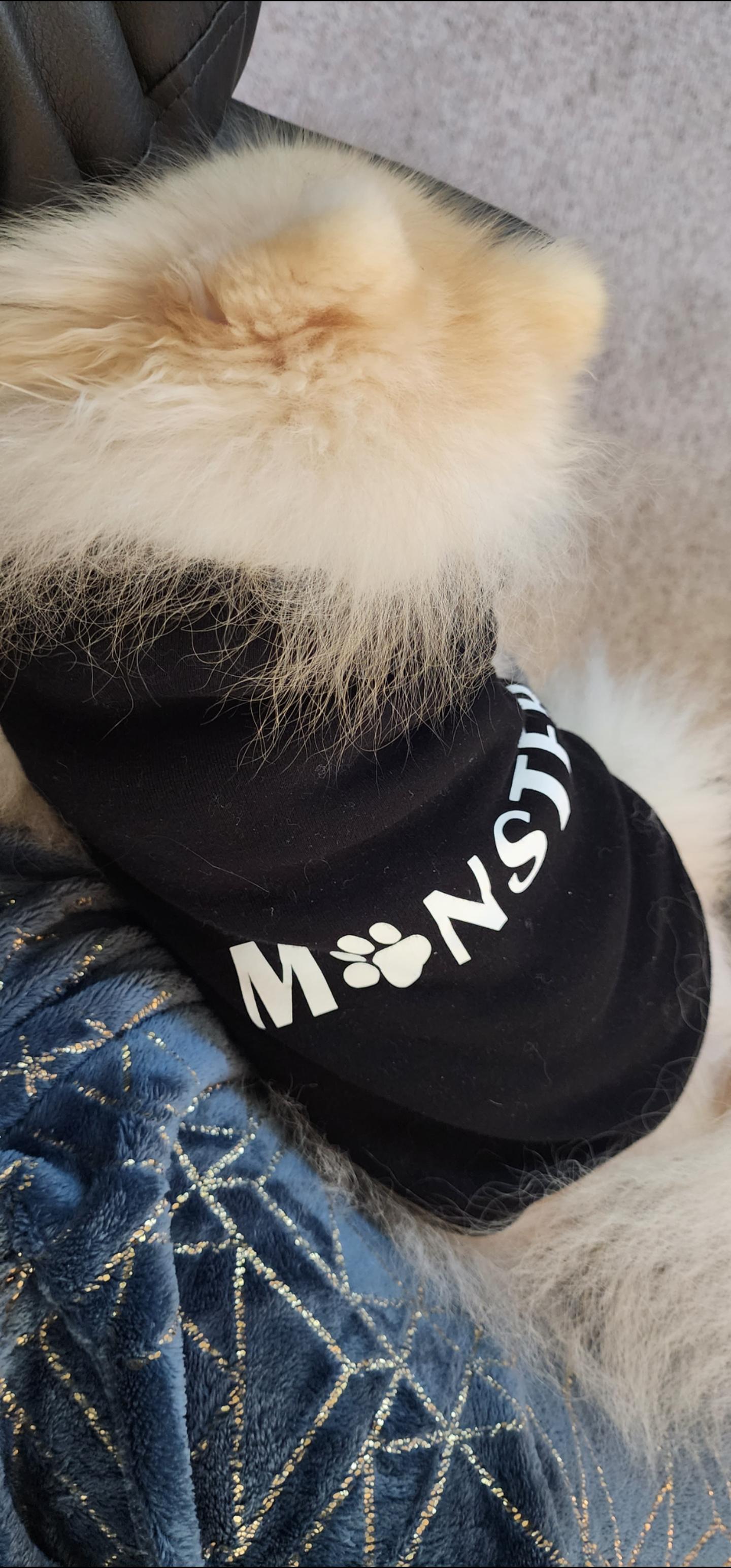 My Monster, Nala. | Scrolller