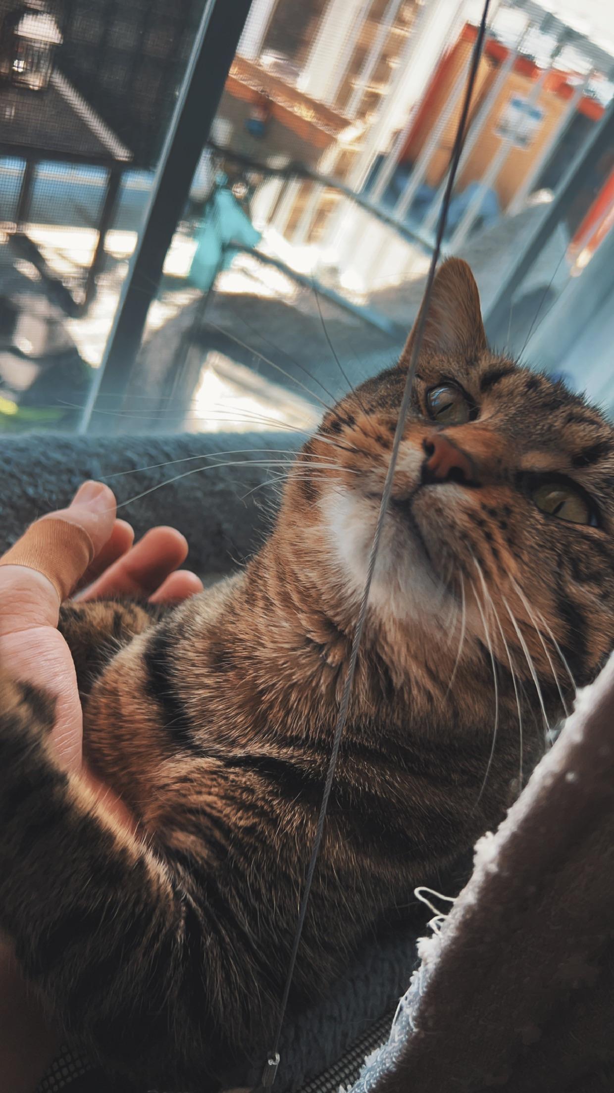 Is my Nova standard issue | Scrolller