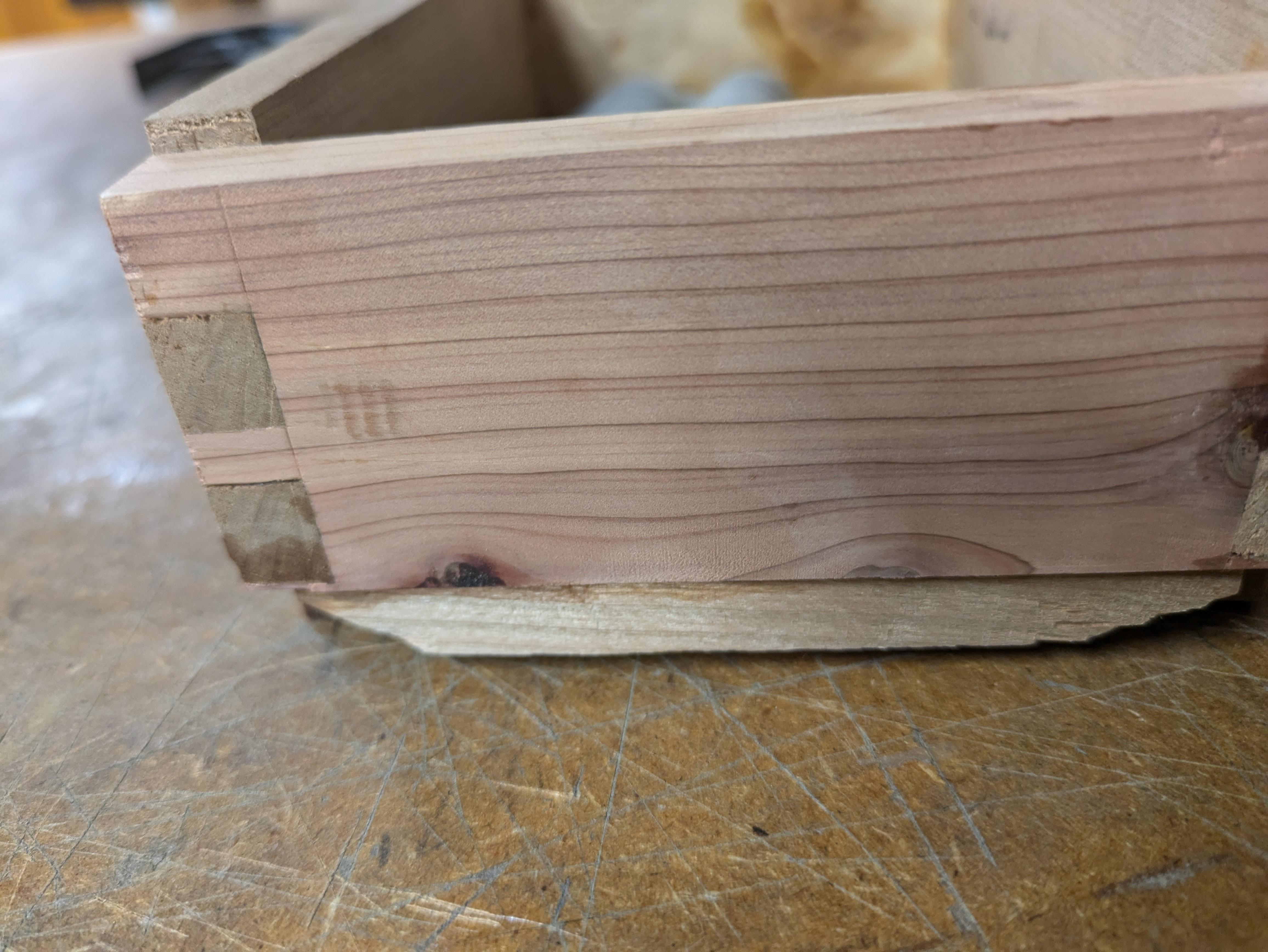 Can one stop Red cedar from browning? | Scrolller