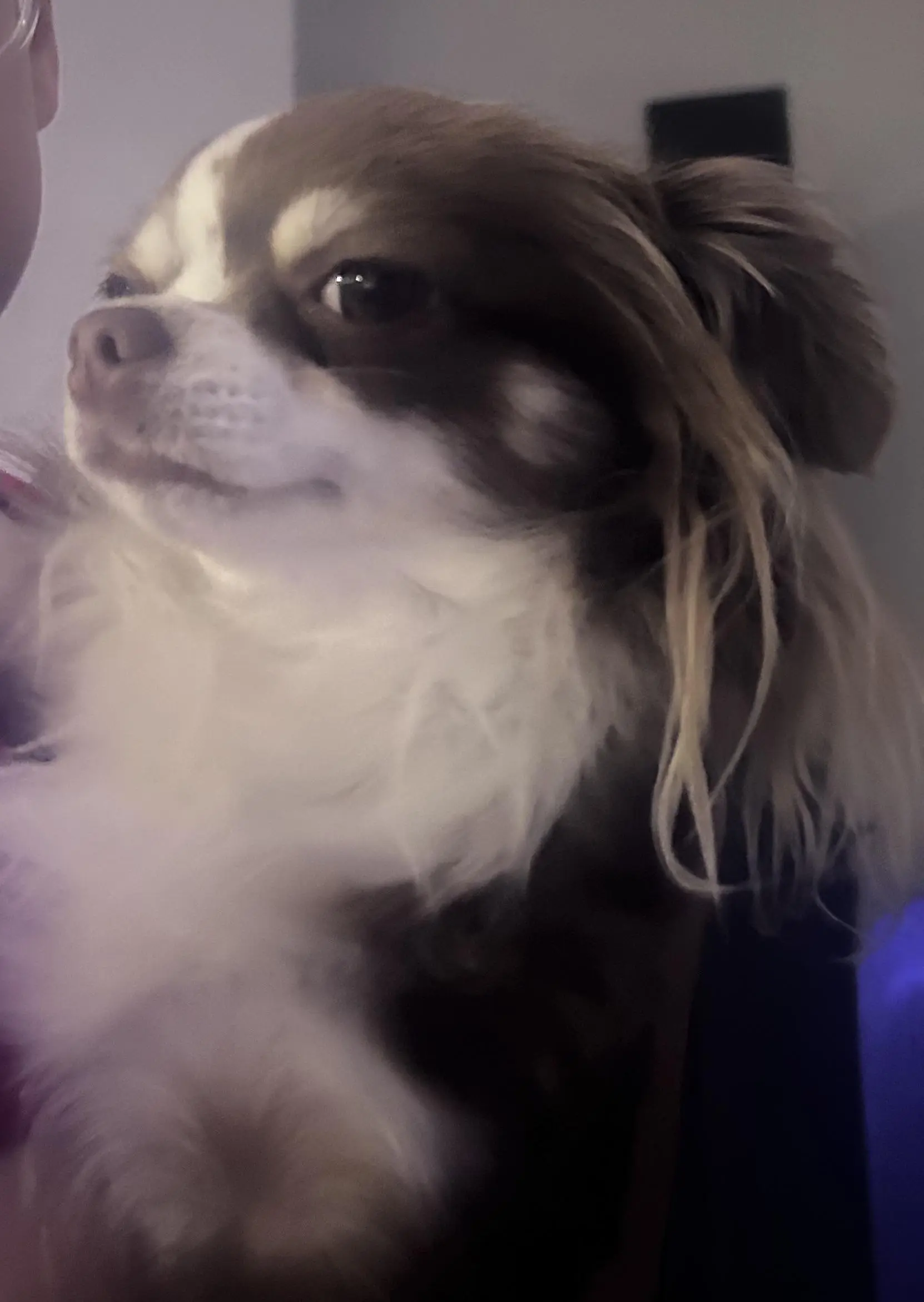 Bombastic Side-eye | Scrolller