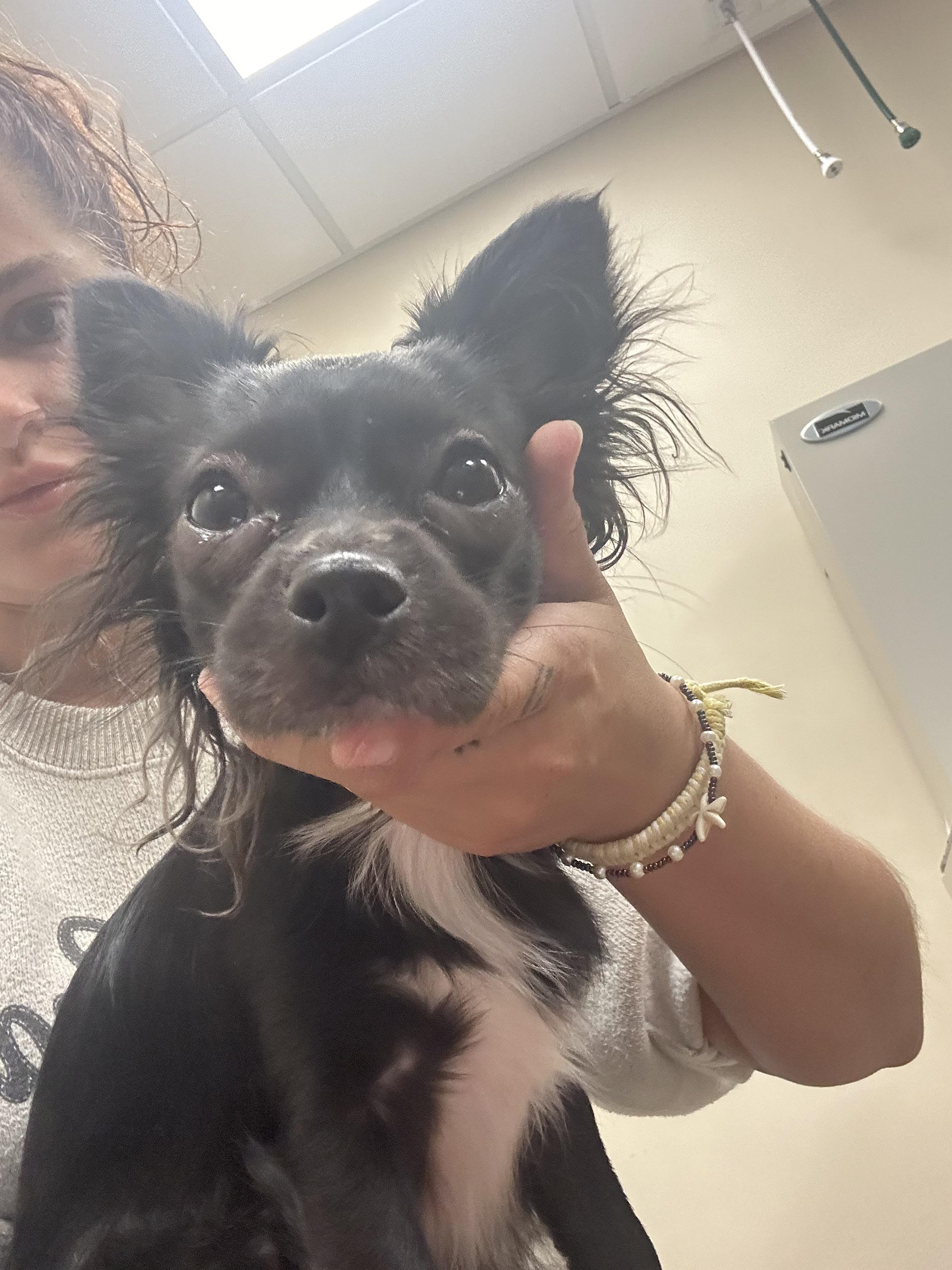 Boots got anaphylactic shock | Scrolller