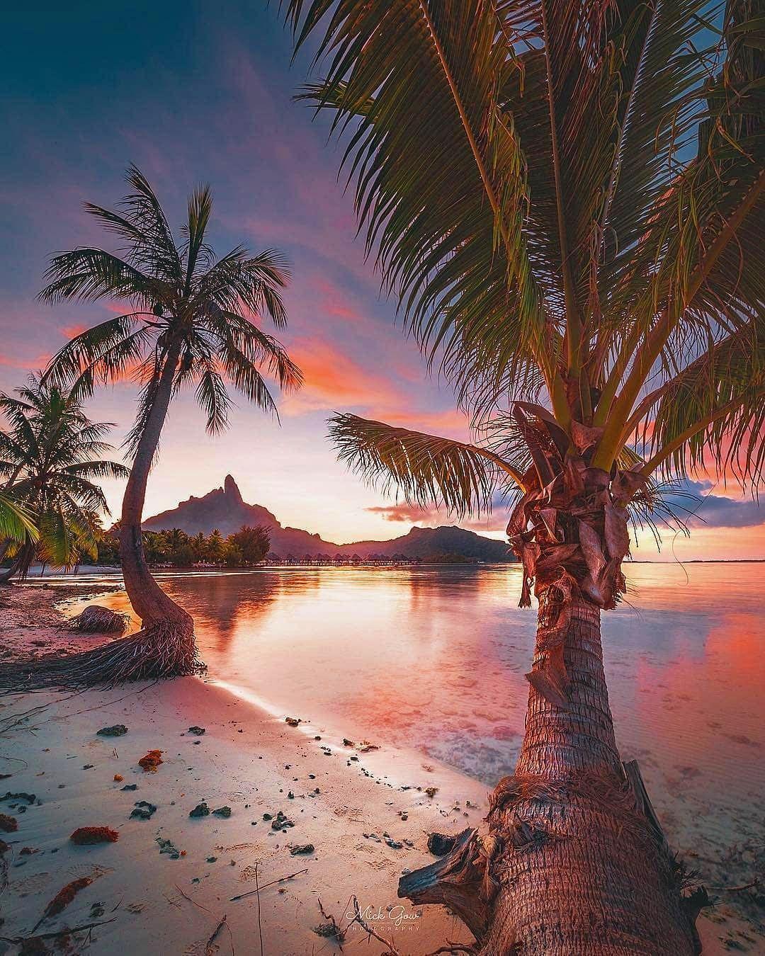 Bora Bora Sunset😍 | Scrolller