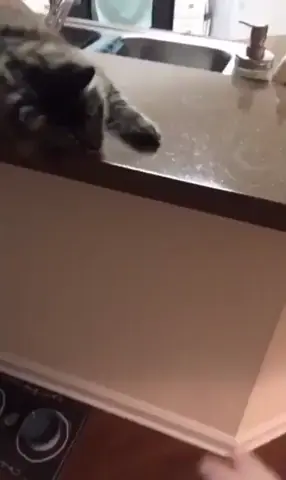 Bottle flip | Scrolller