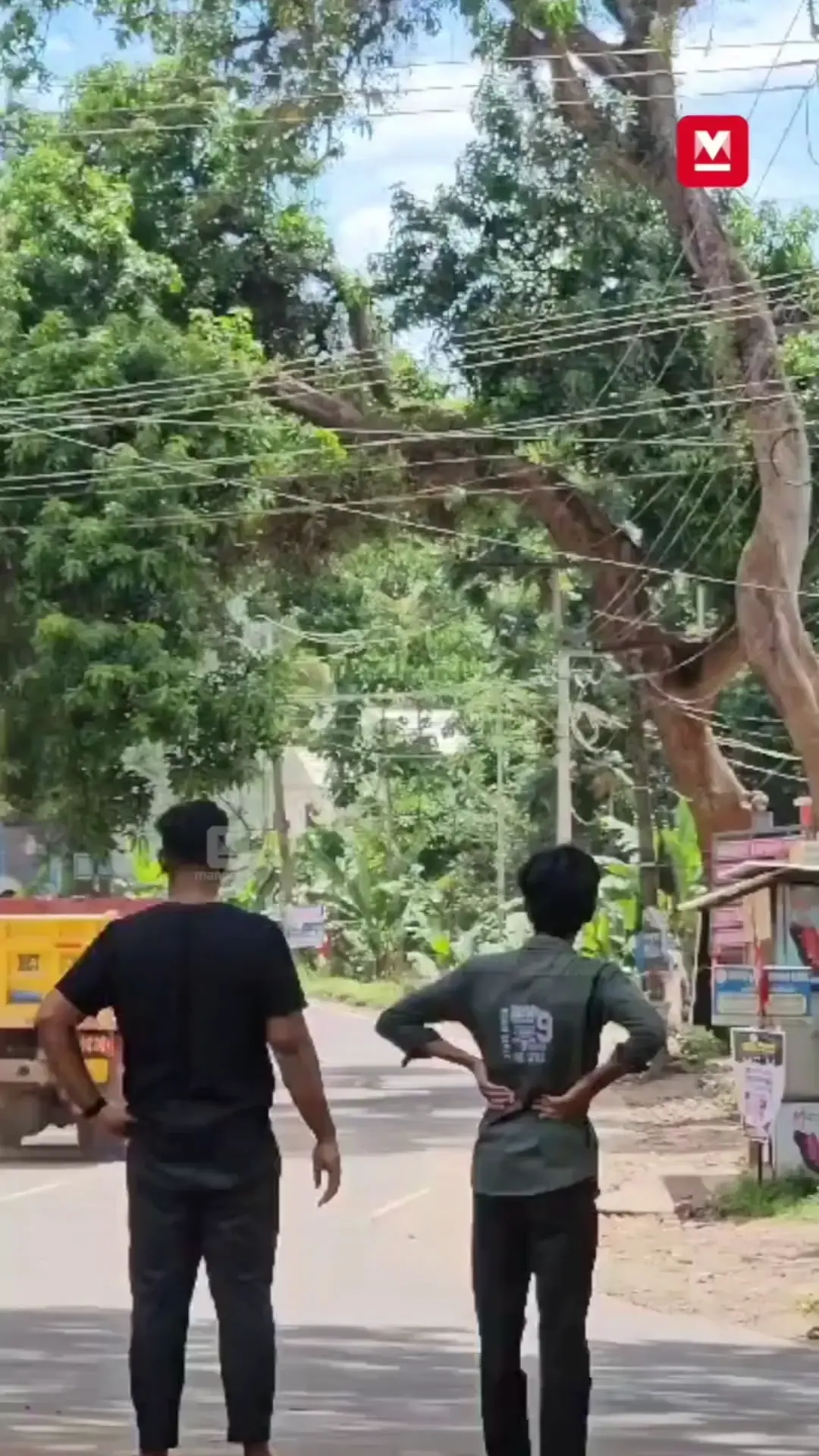 Discover more like AbruptChaos: Branch that sparked chaos (HURT) and Related Content | Scrolller