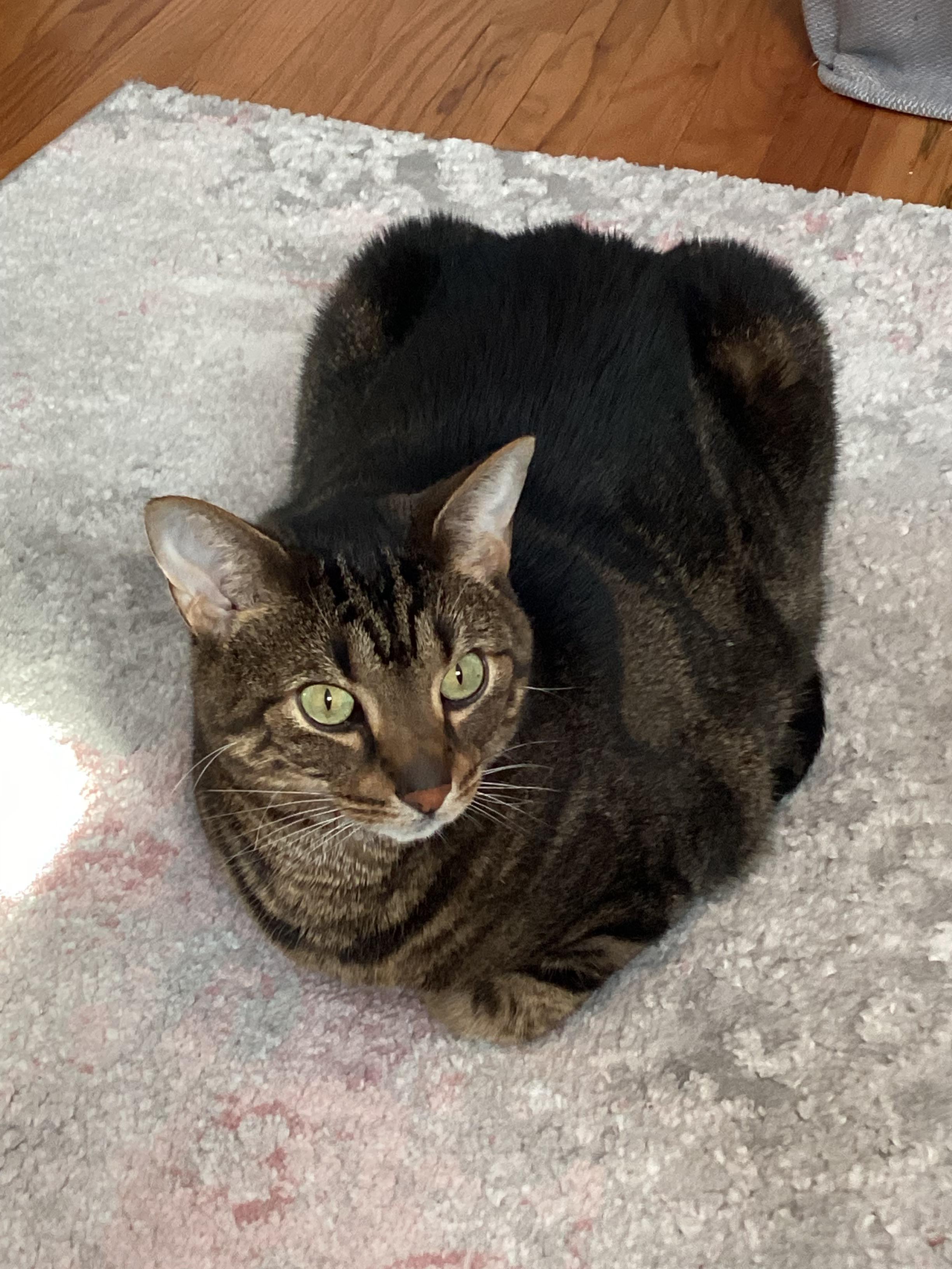 BREAD 🍞 | Scrolller