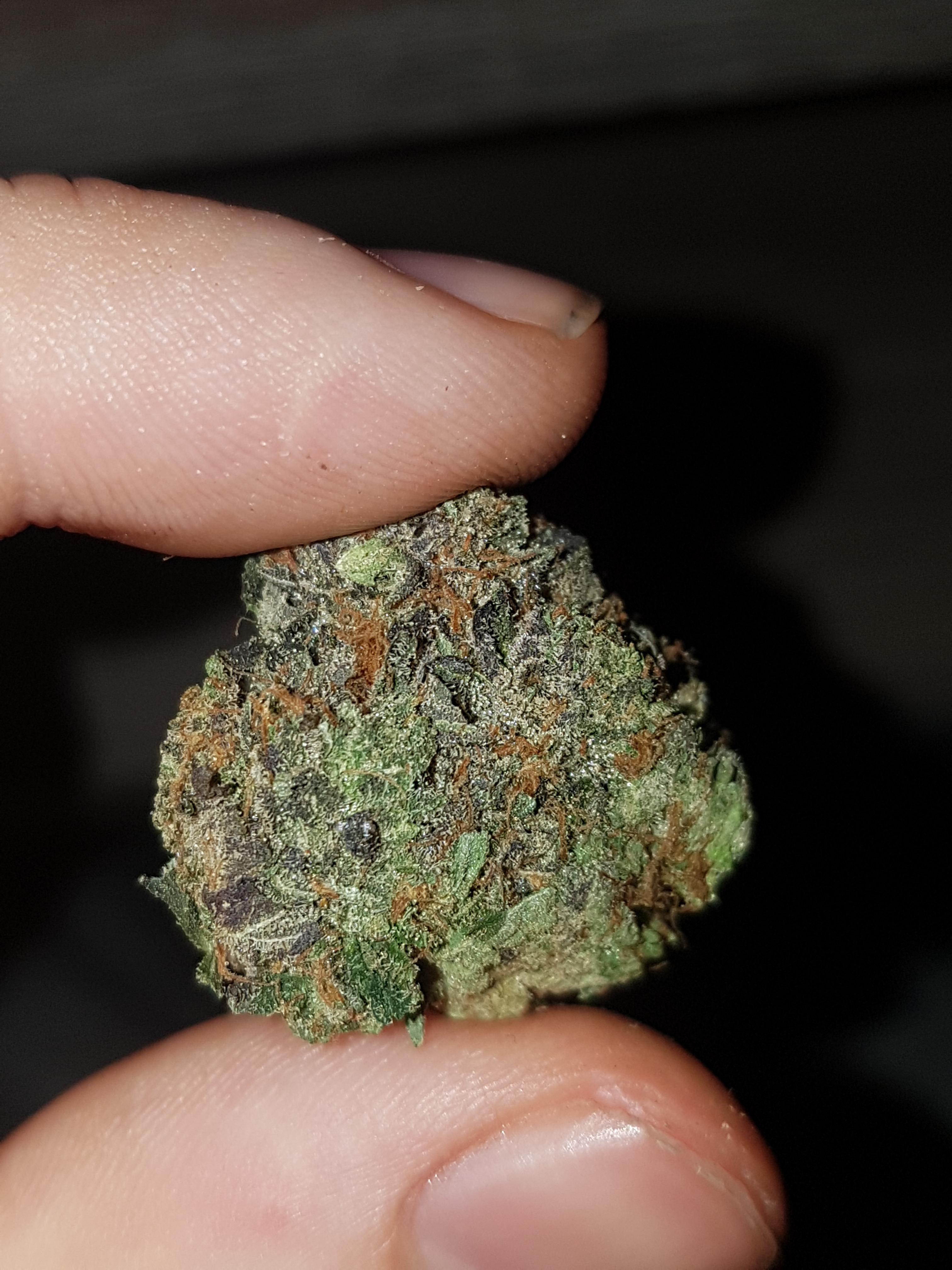 Bruce Banner | Scrolller