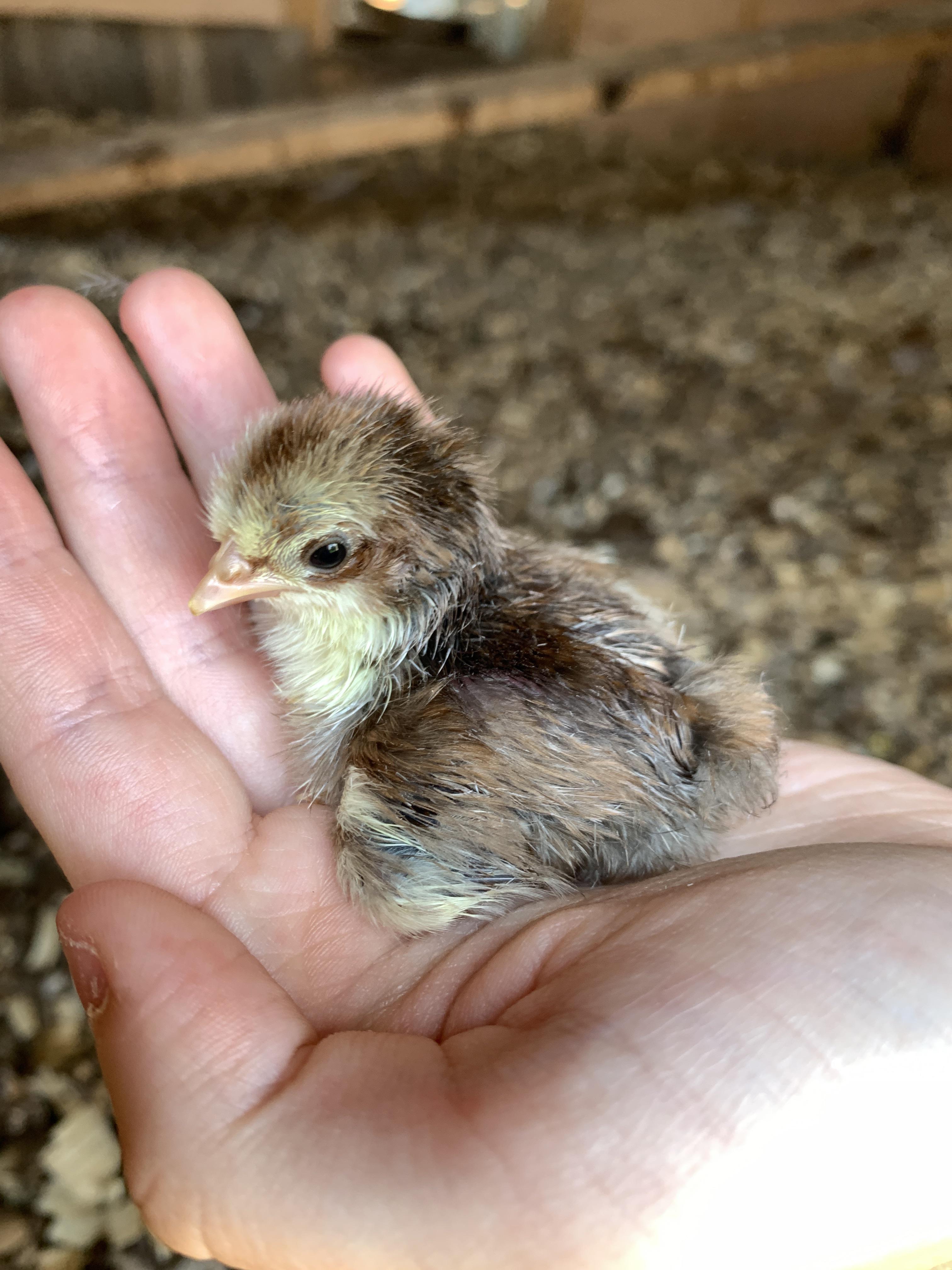 Pooky is a happy mama! | Scrolller