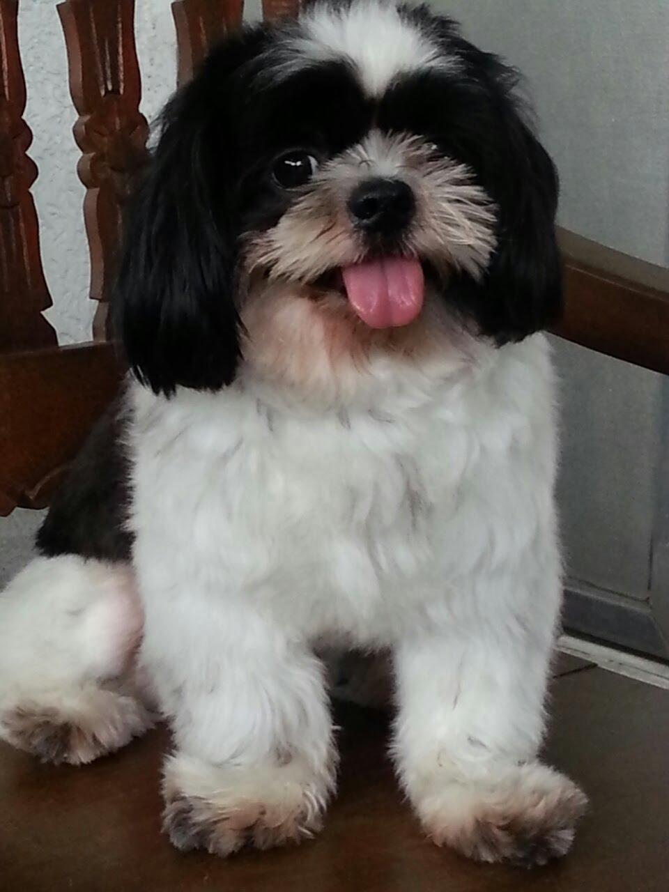 Throwback... | Scrolller