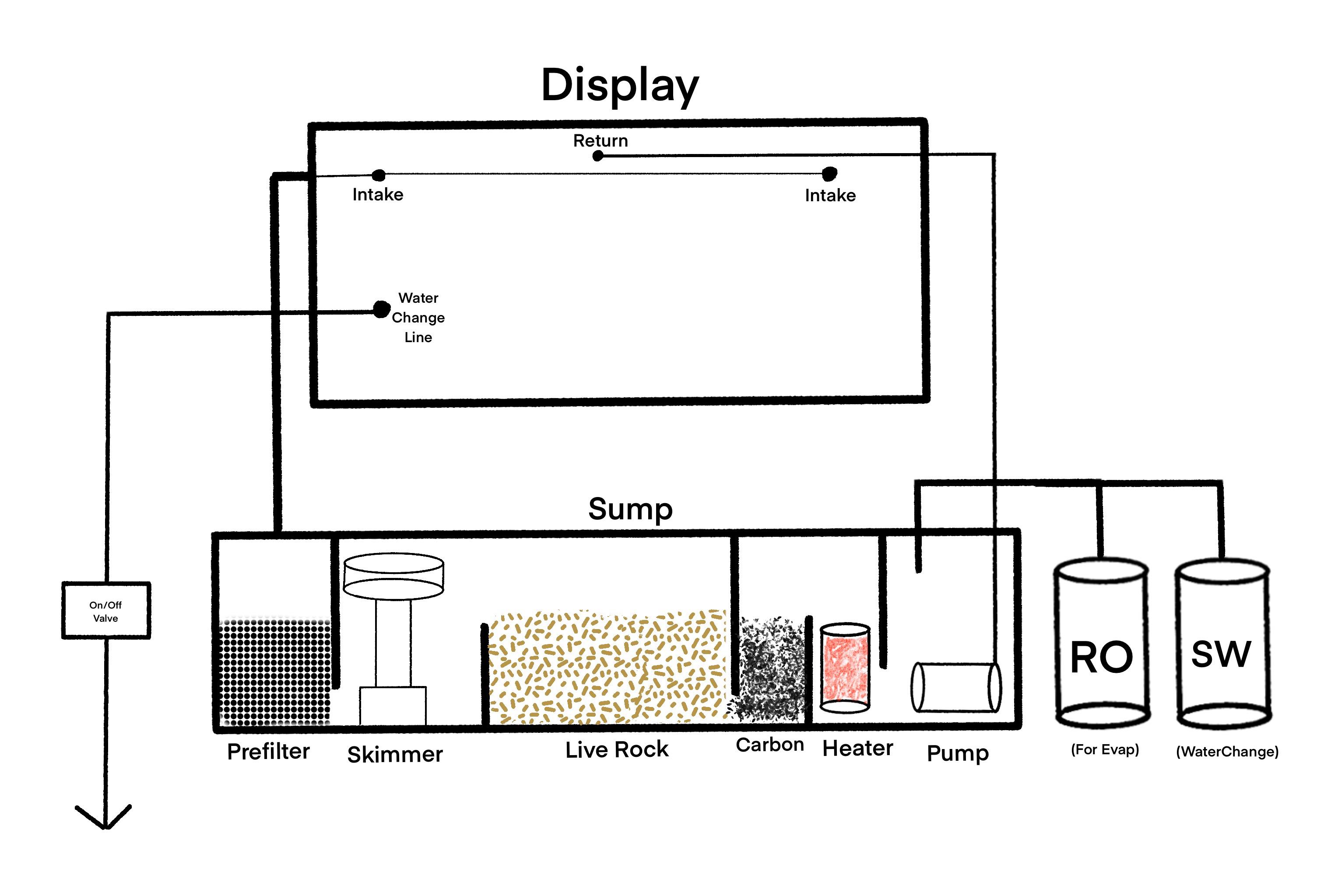 Saltwater | Pictures | Scrolller