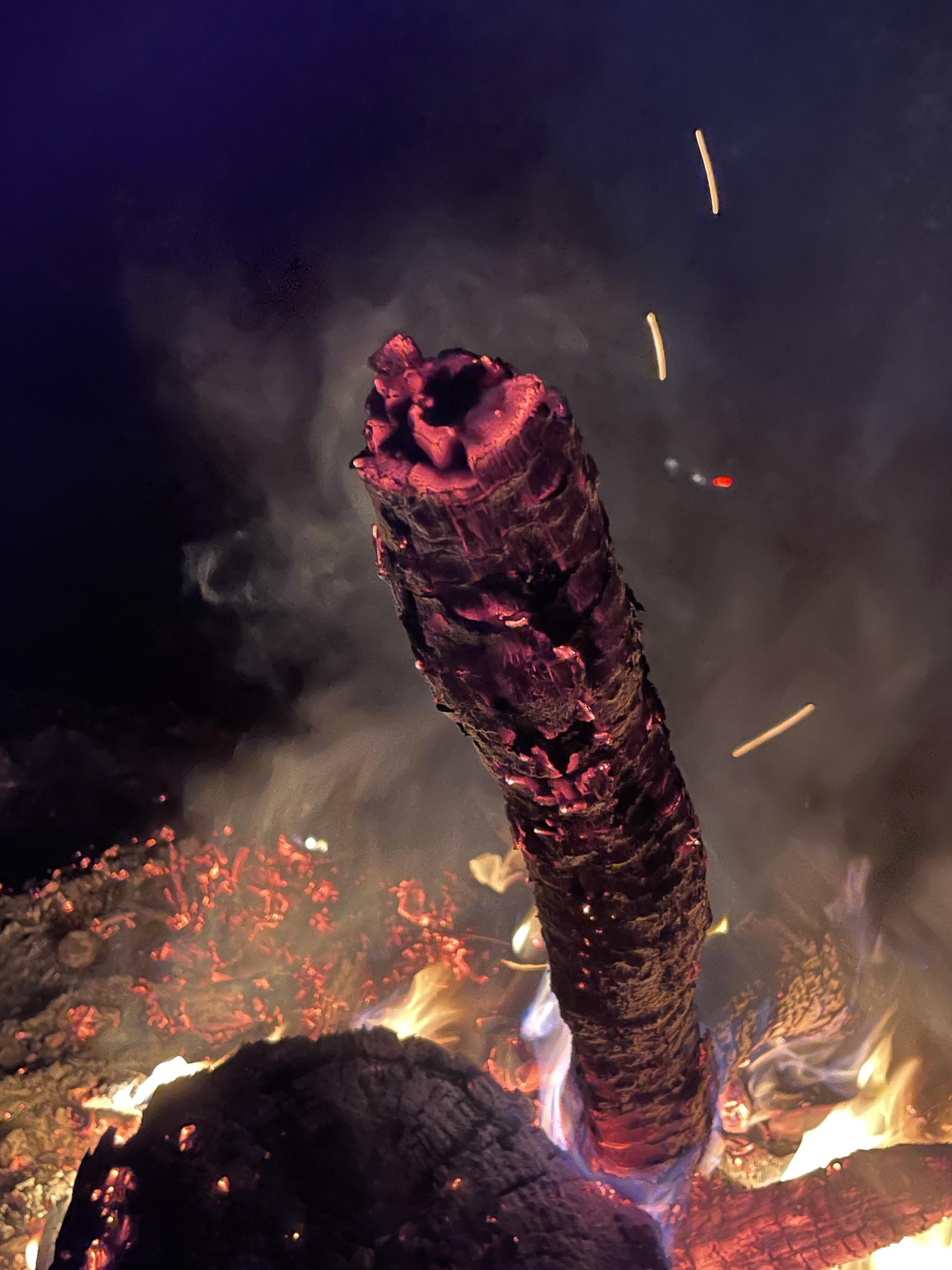 Burning Limb | Scrolller