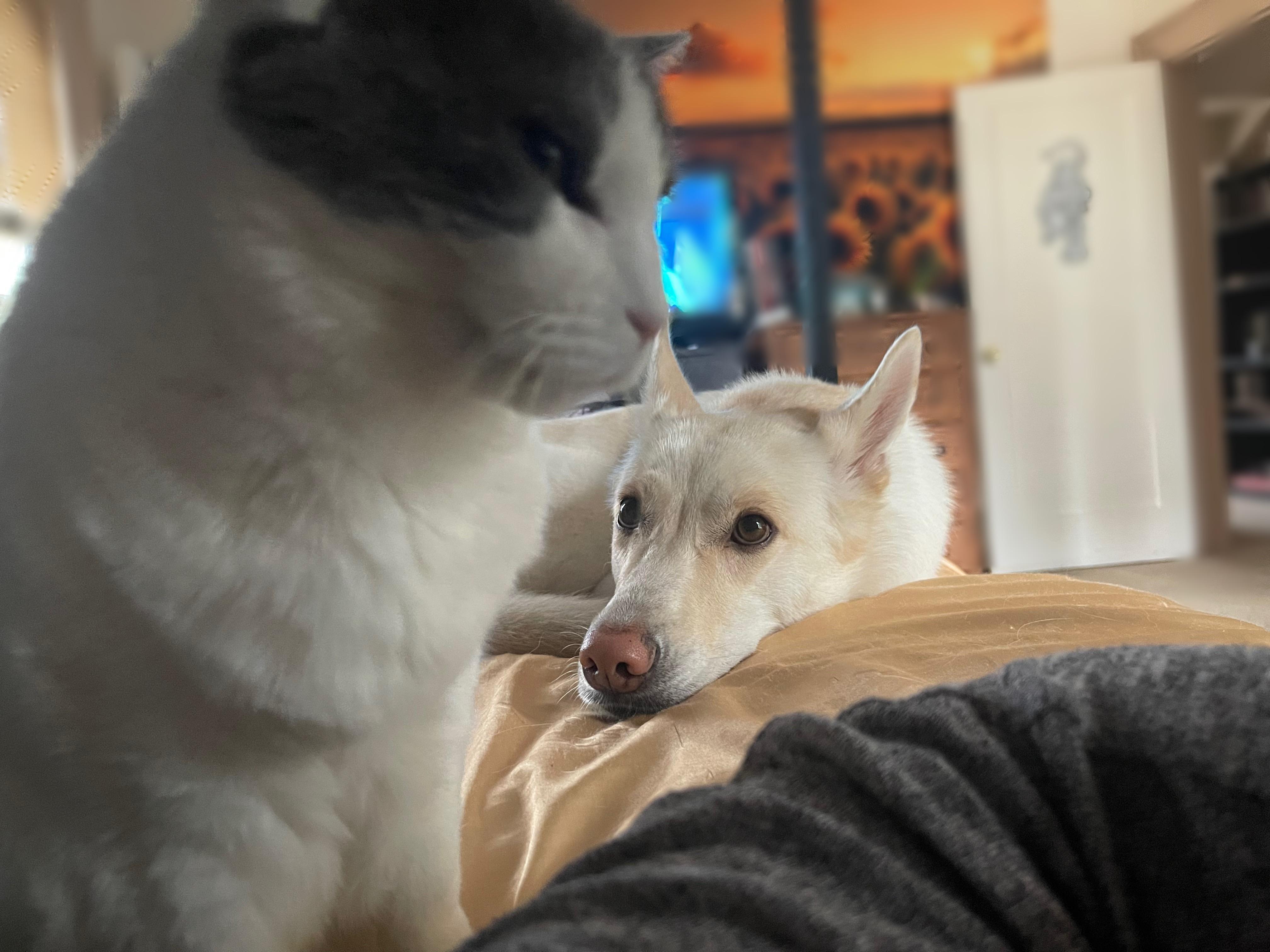 Oooo jealousyyyyy | Scrolller