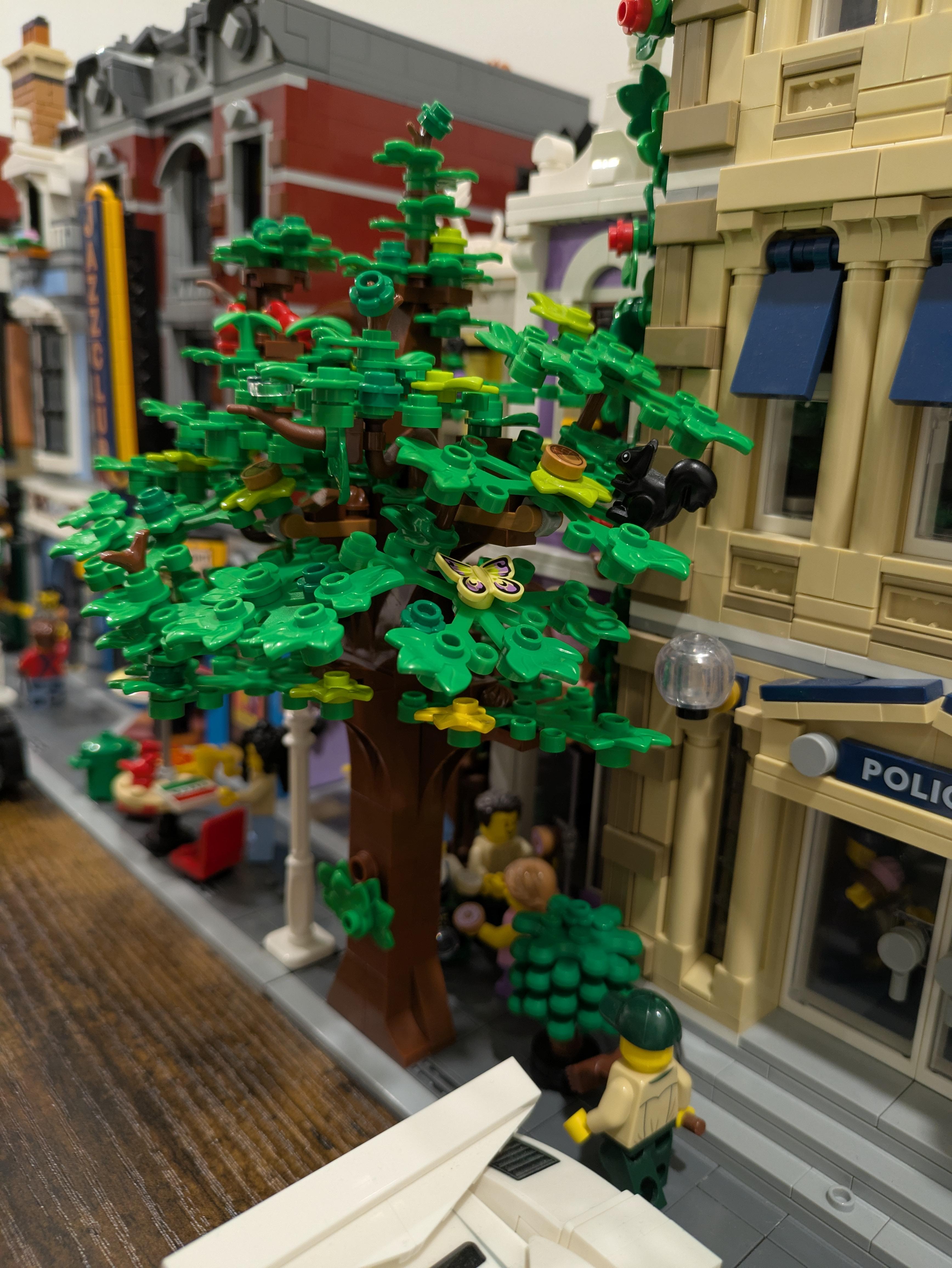 Oak tree | Scrolller