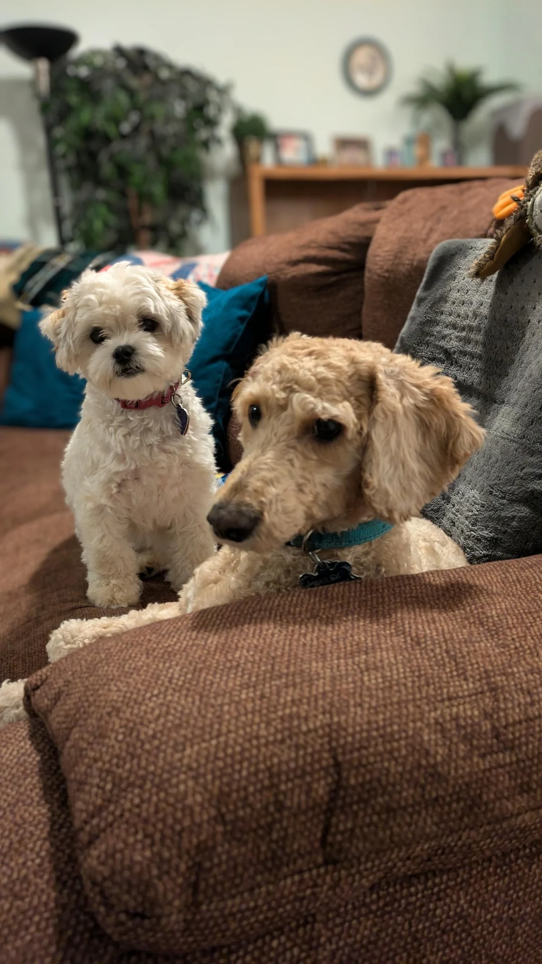 Chloe and Bailey | Scrolller