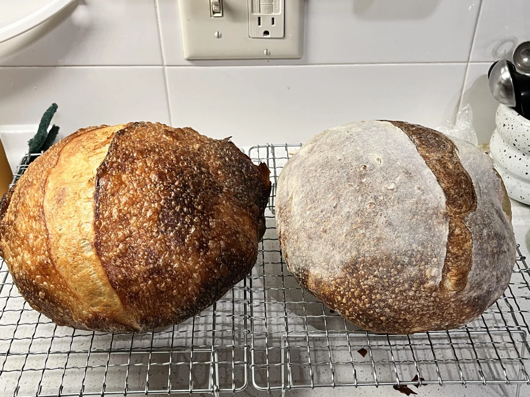 With and without Dutch oven | Scrolller