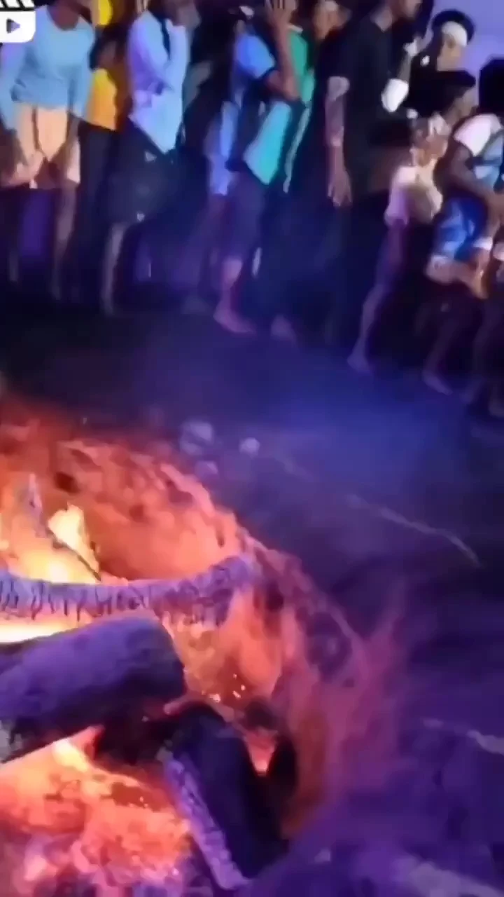 To jump over the bonfire | Scrolller