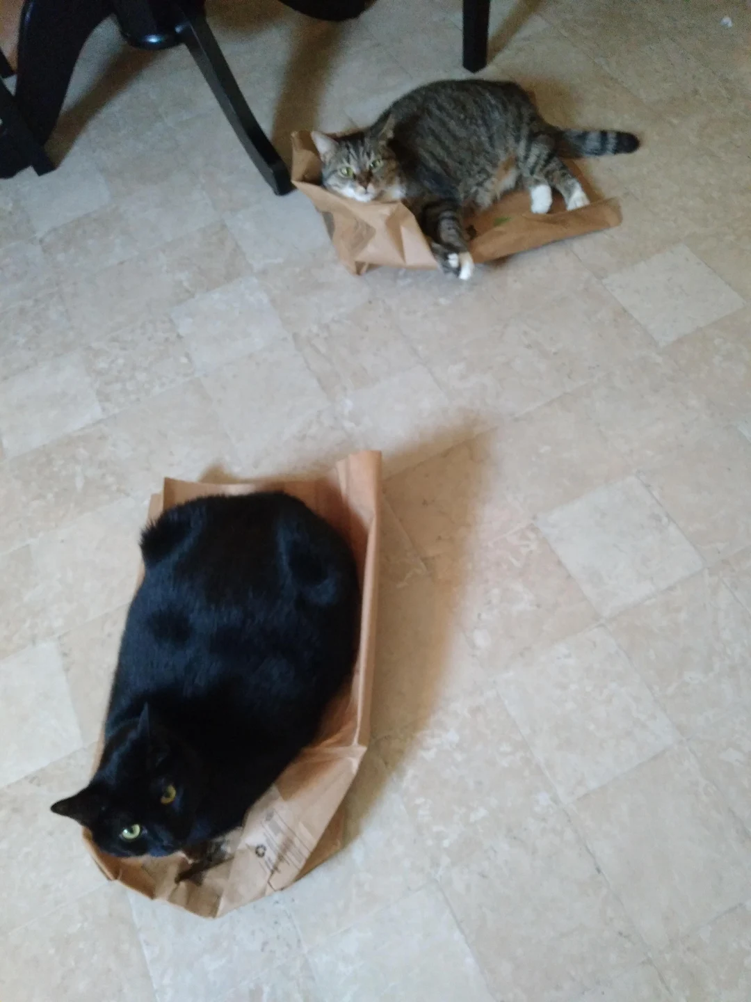 Mother & daughter double trap | Scrolller