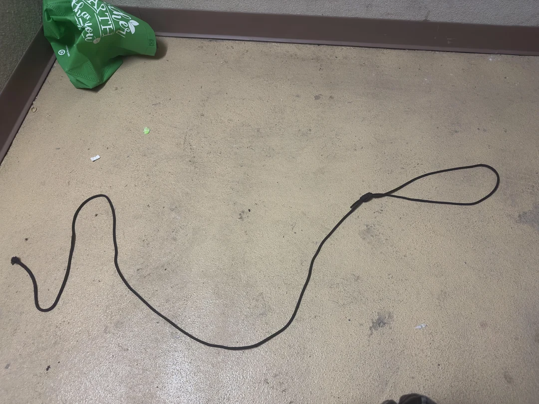 Casually finds a noose in the CQ desk 😂 | Scrolller