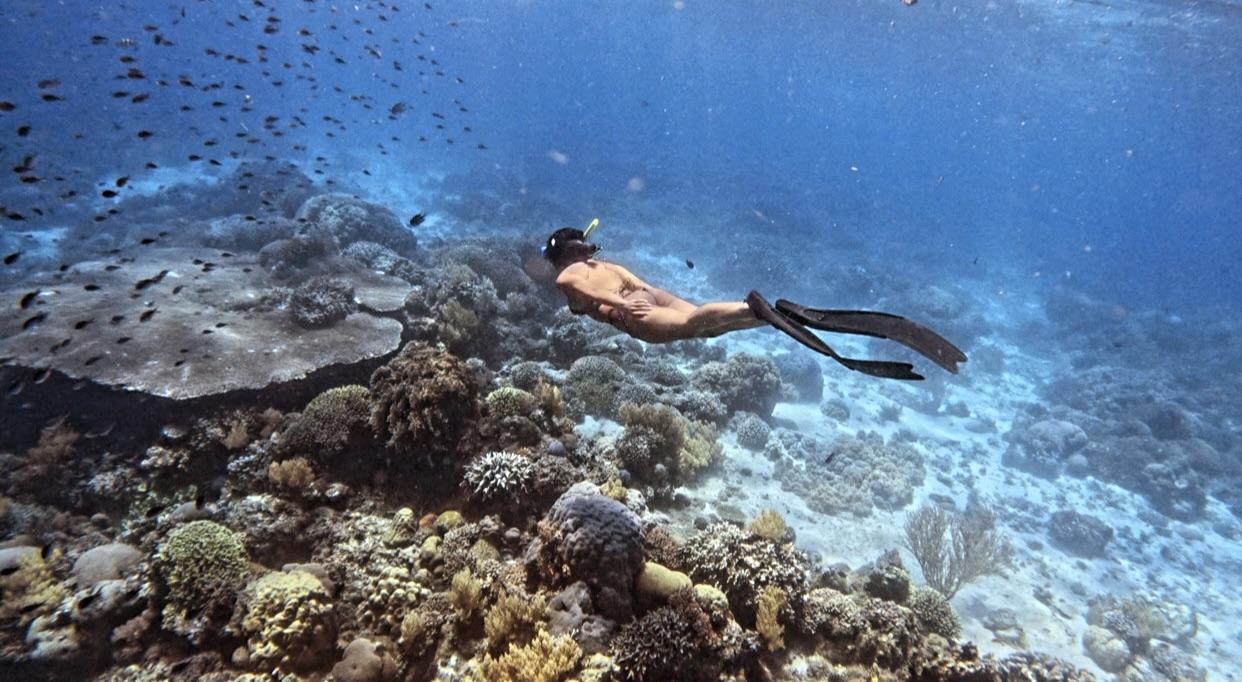 Bohol Philippines | Scrolller